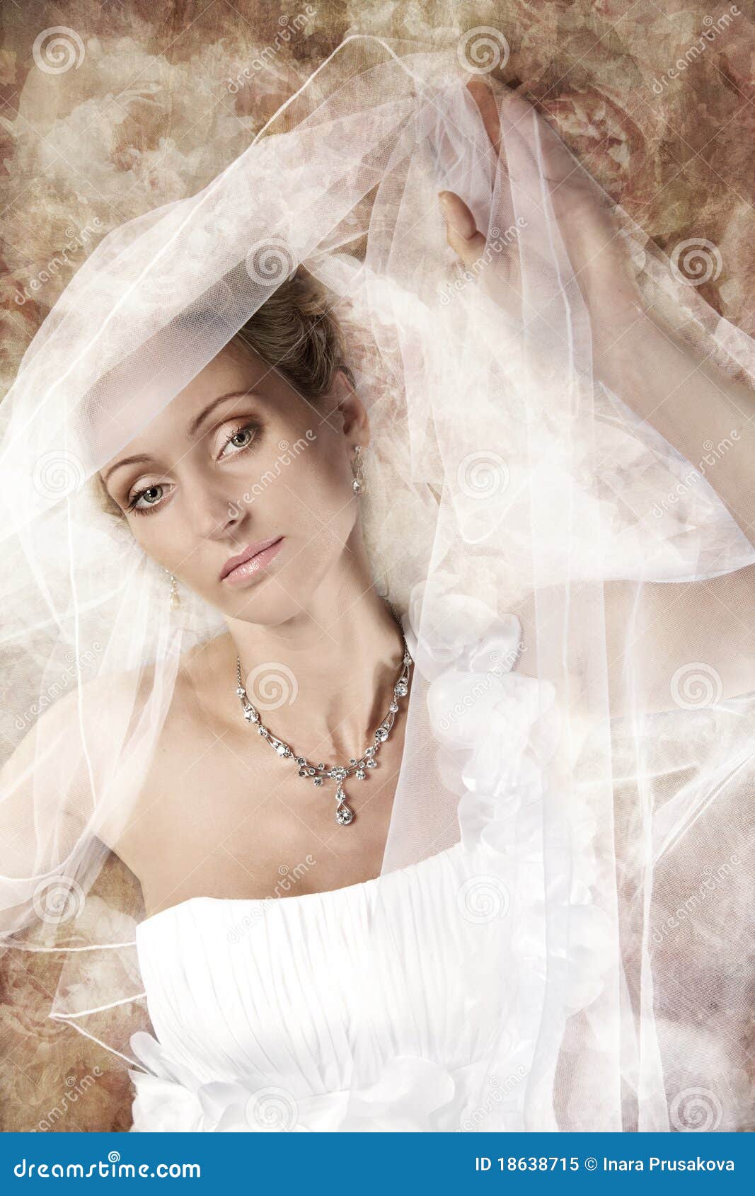 Bride in White Veil at Vintage Background. Stock Image - Image of ...