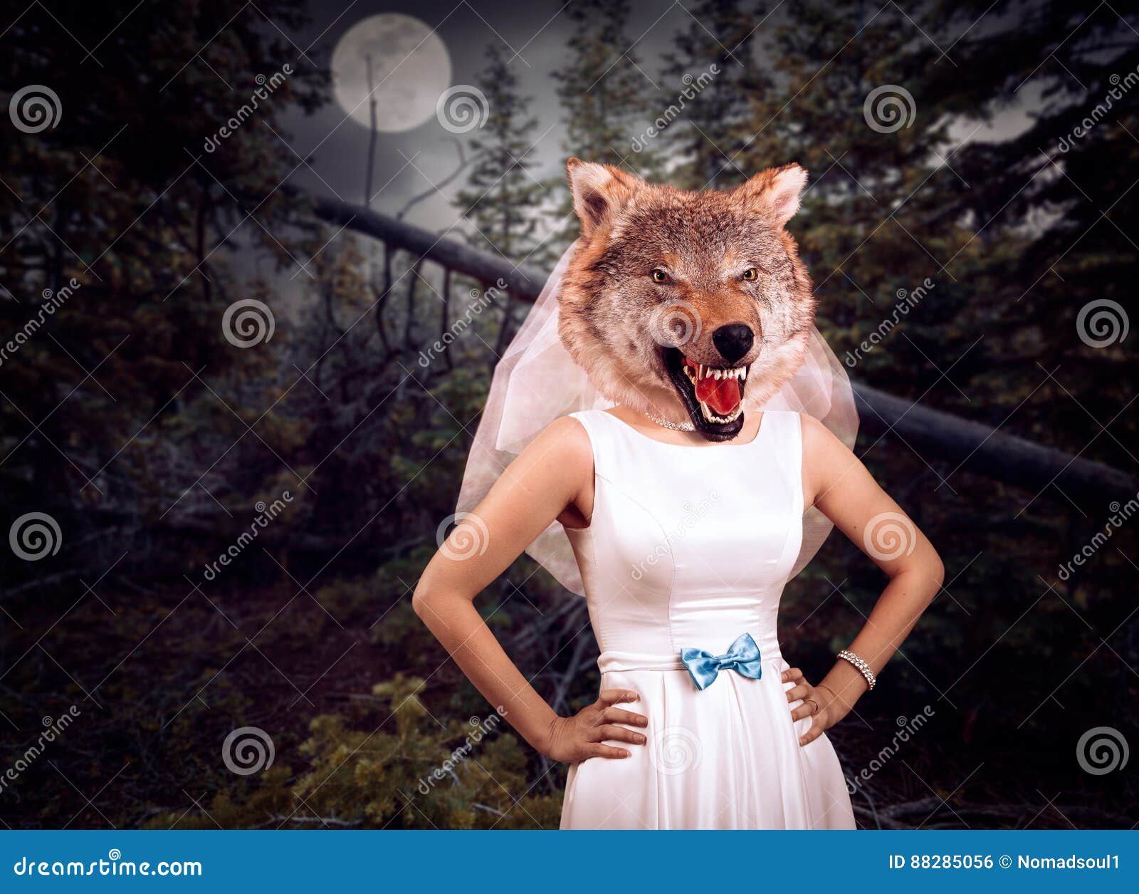 Wolf Head Carving Royalty-Free Stock Image | CartoonDealer.com #53986498