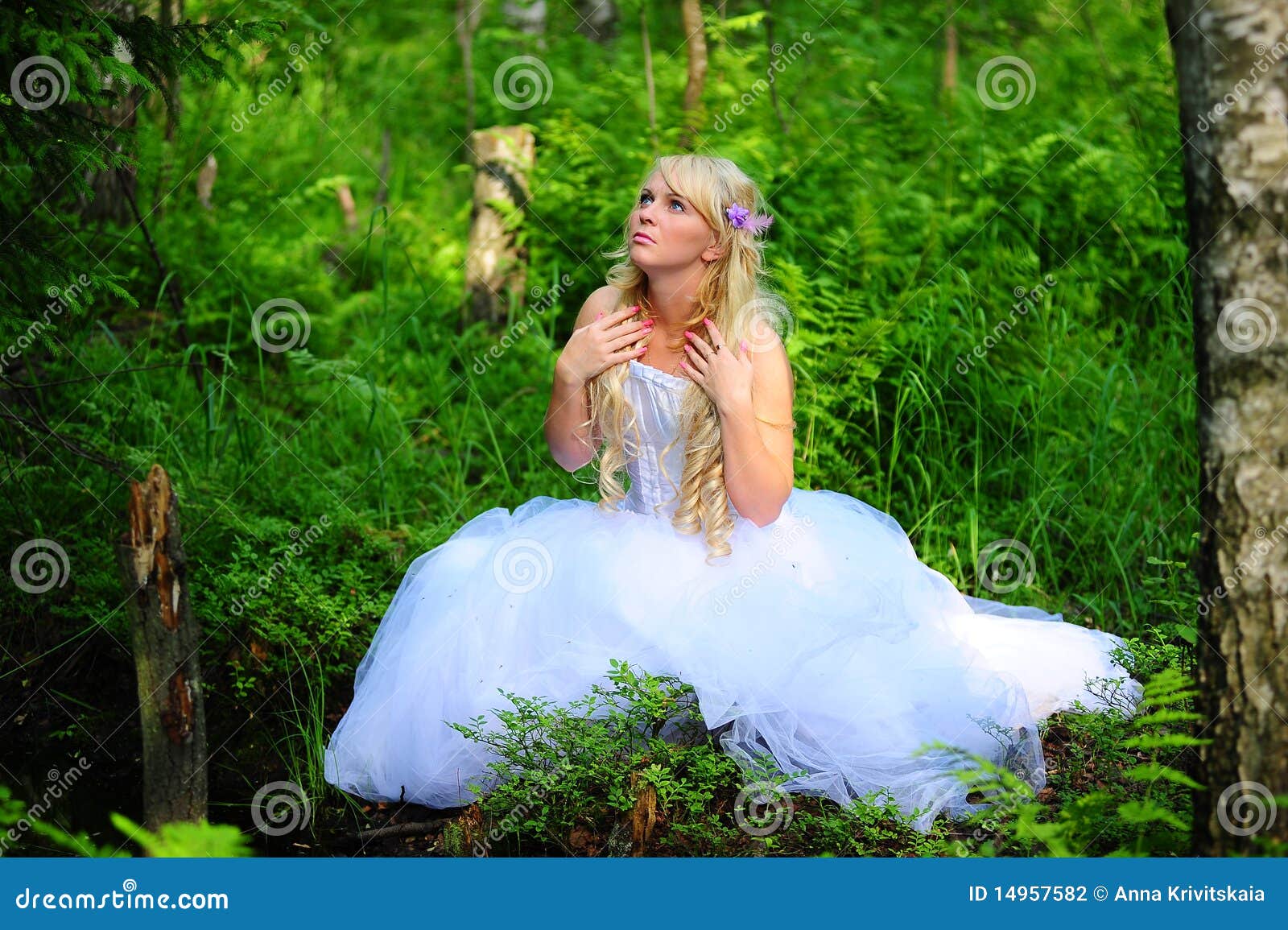 The bride in wood stock photo. Image of beautiful, grass - 14957582