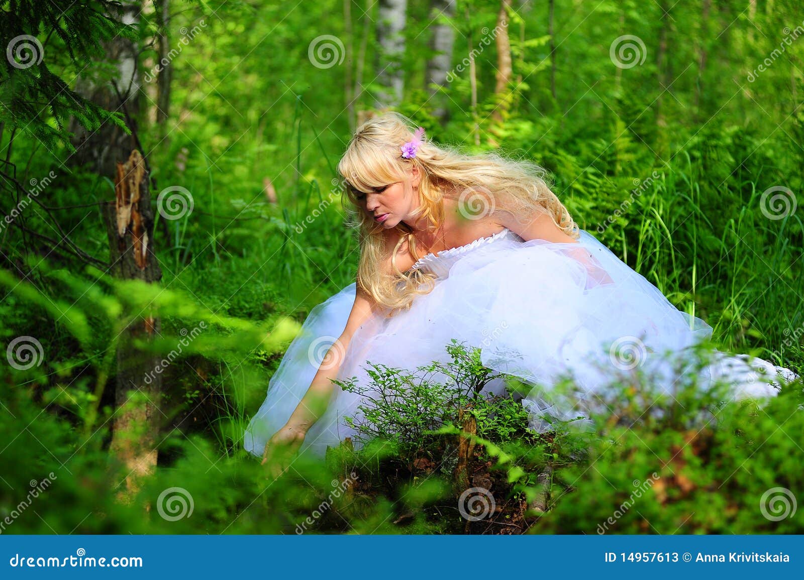 The bride in wood stock image. Image of bridal, commitment - 14957613