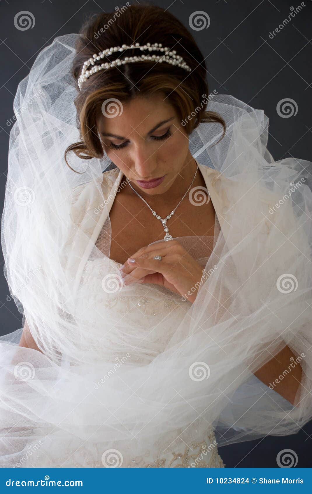 Bride Wrapped in Veil Admiring Her Ring Stock Photo - Image of veil ...