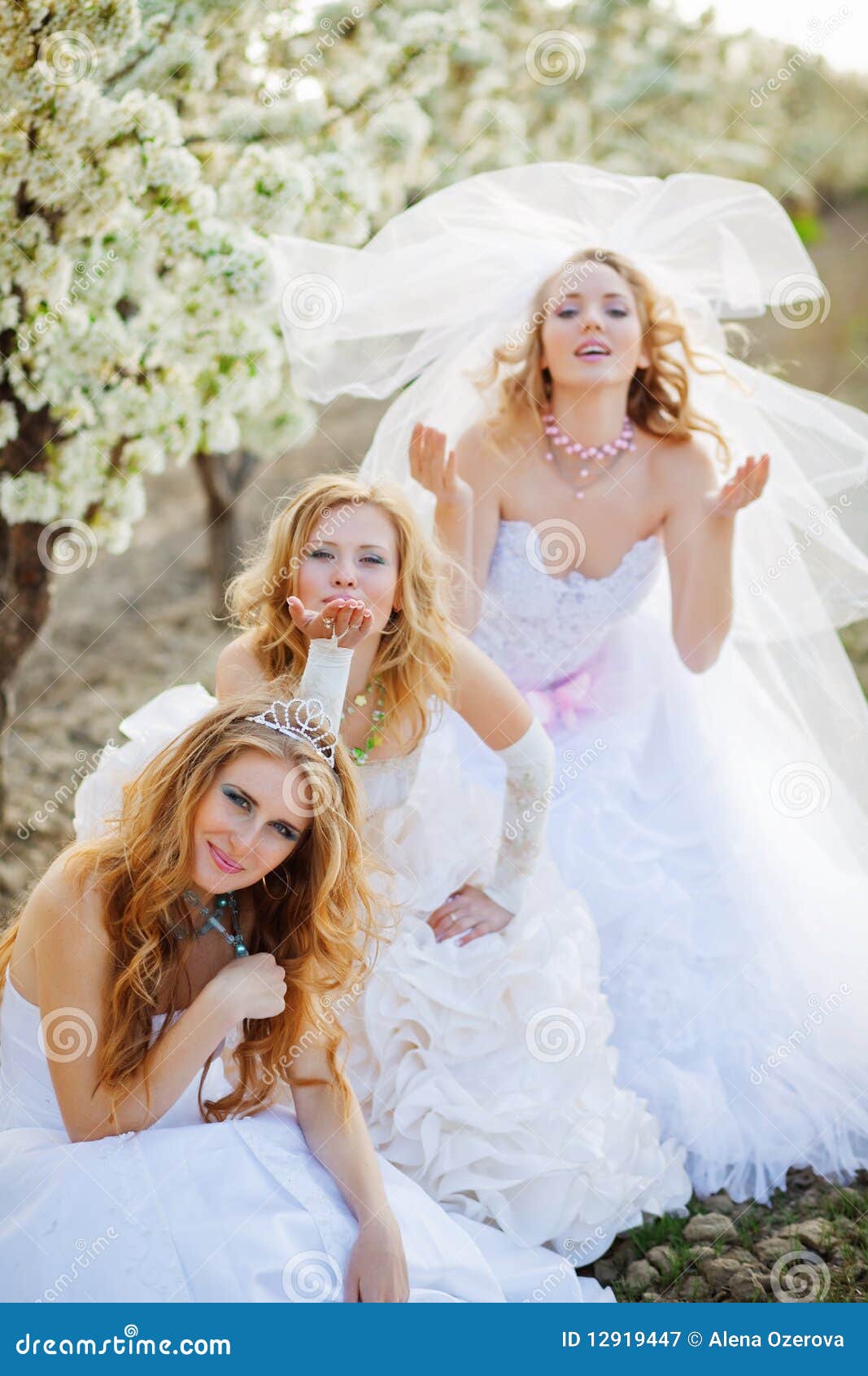 Brides stock image. Image of bush, orchard, group, gowns - 12919447