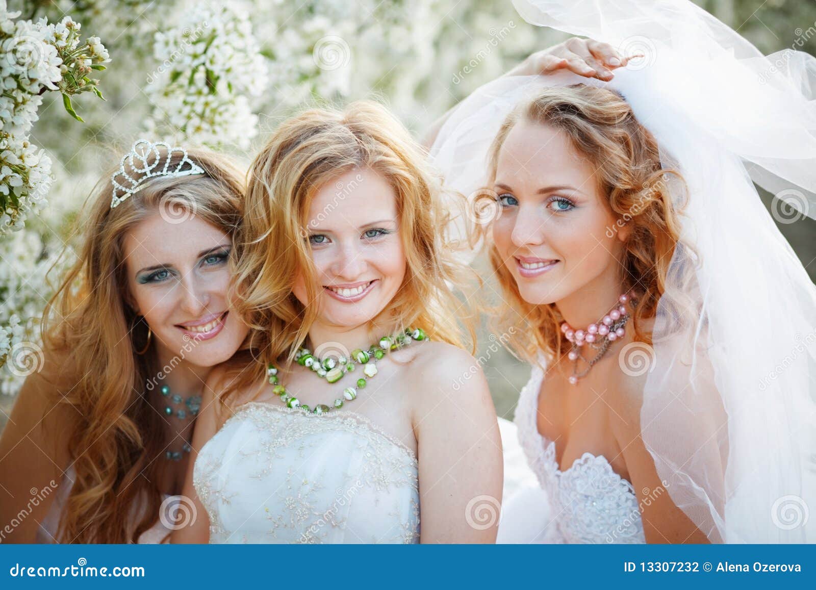 2,757 Cute Brides Stock Photos - Free & Royalty-Free Stock Photos from ...