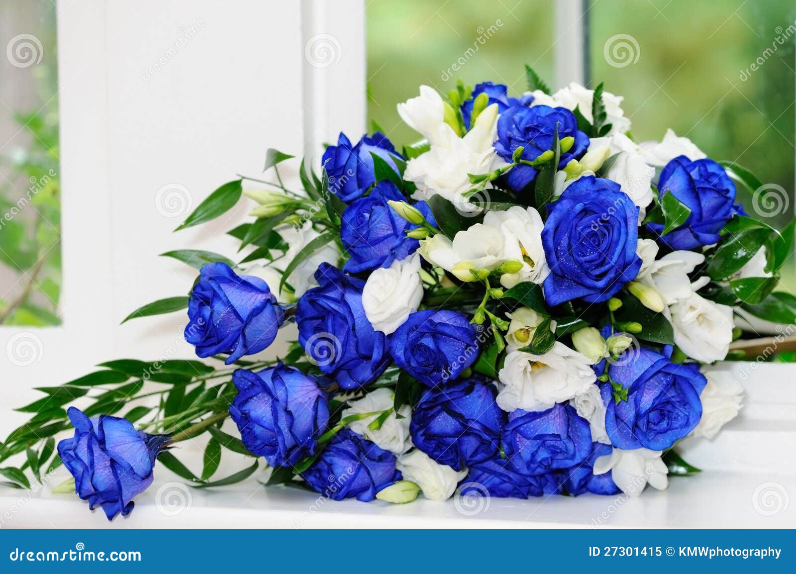 Red Roses Blue Delphinium Garden Bed White Picket Fence Stock Photo ...