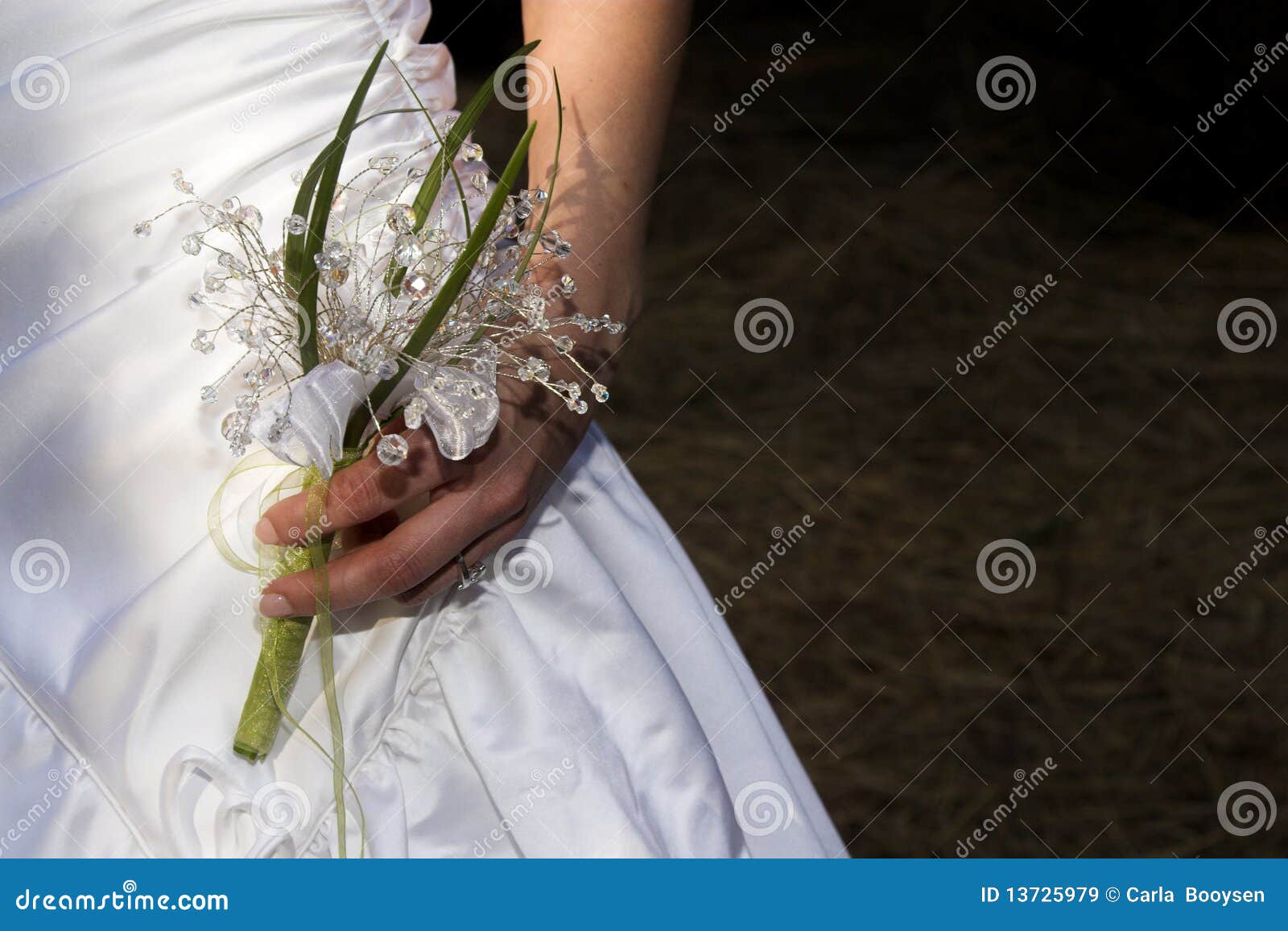 Brides Hand stock image. Image of bodyparts, holding - 13725979