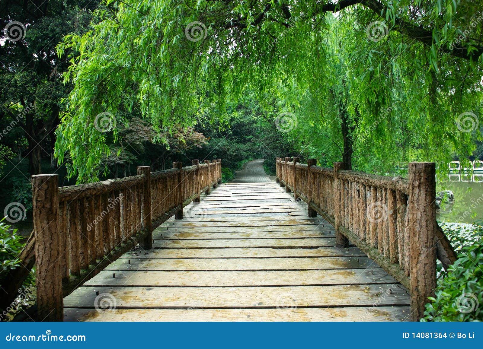Bridge stock photo. Image of tree, season, holiday, plant - 14081364