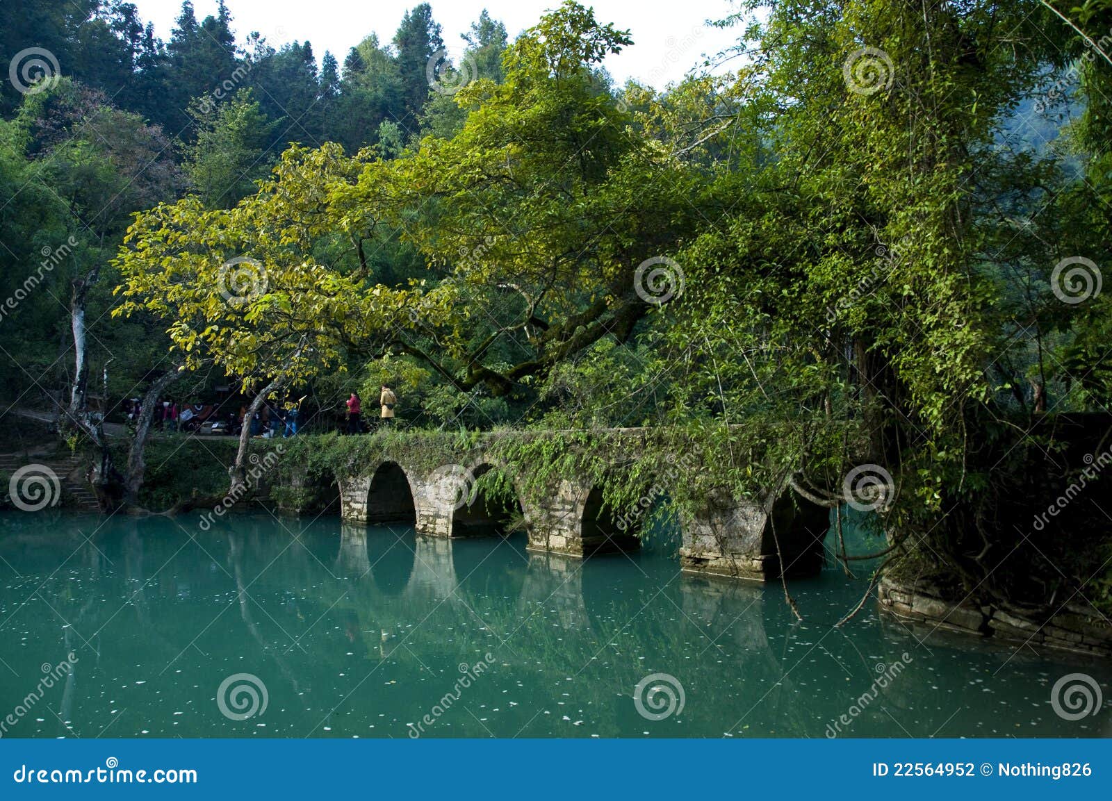 The bridge stock photo. Image of green, water, bridge - 22564952