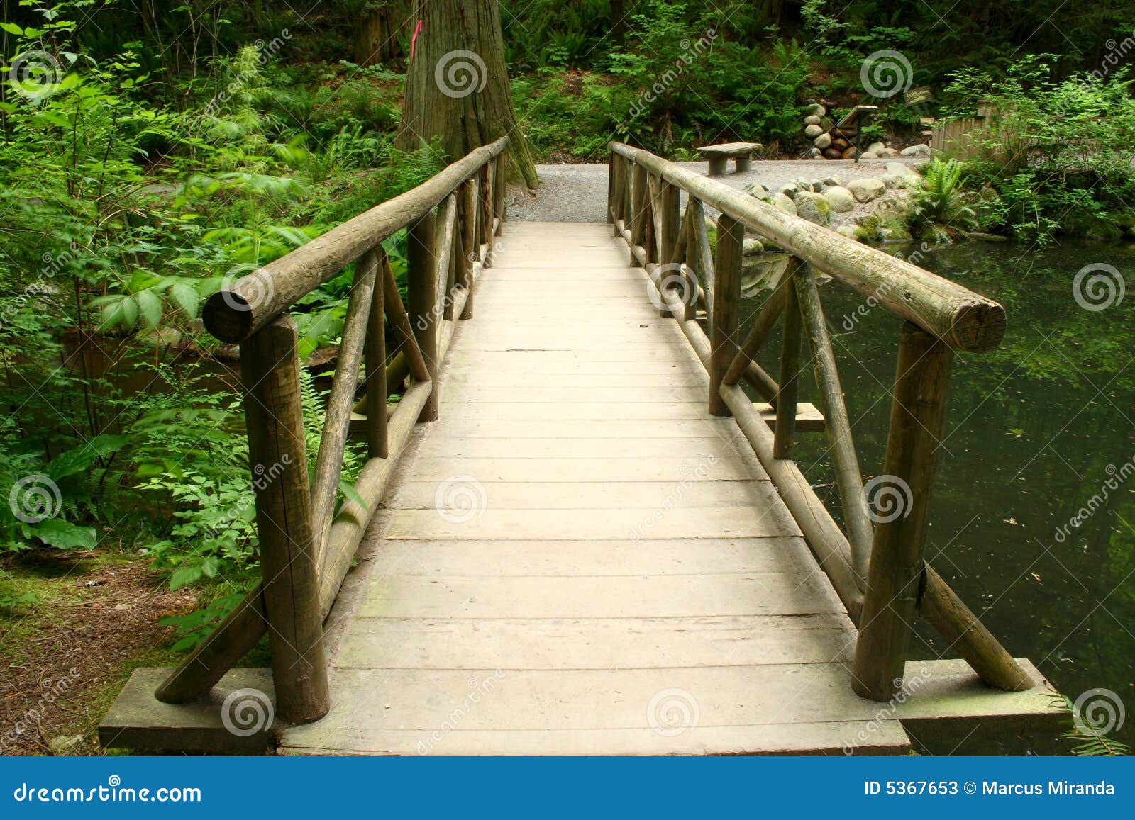 Bridge stock image. Image of garden, footpath, park, structure - 5367653