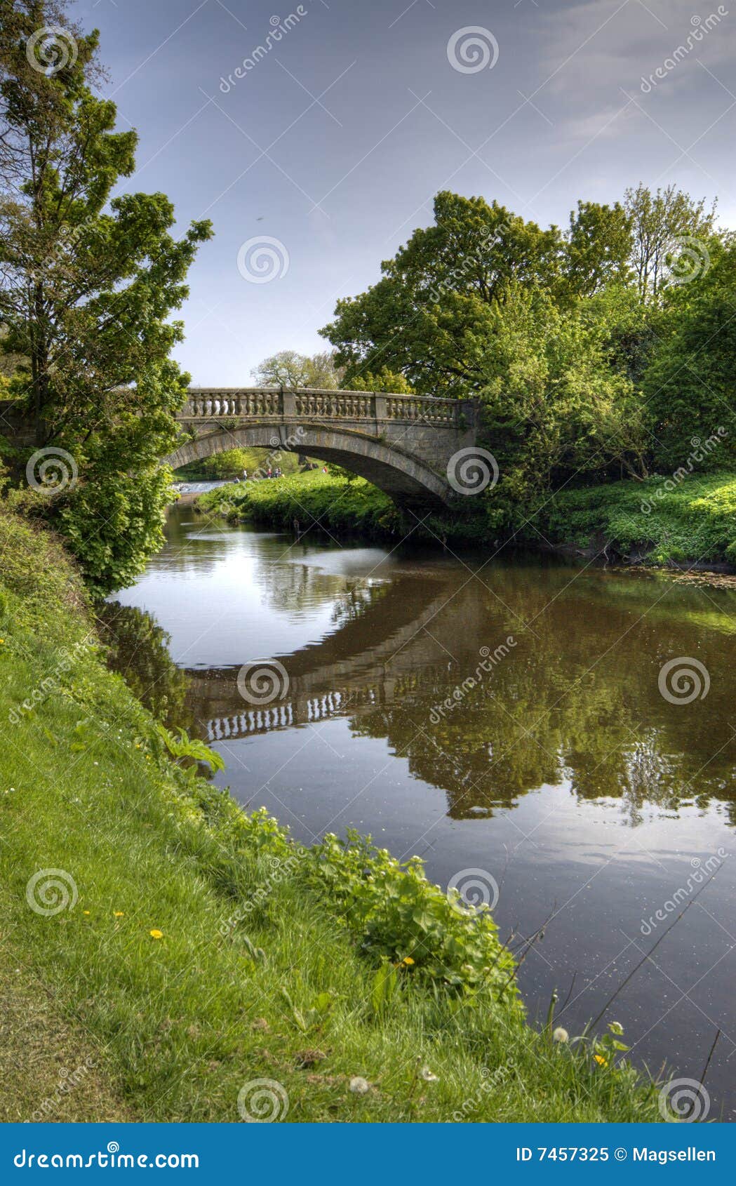 Bridge stock image. Image of footbridge, trees, countryside - 7457325