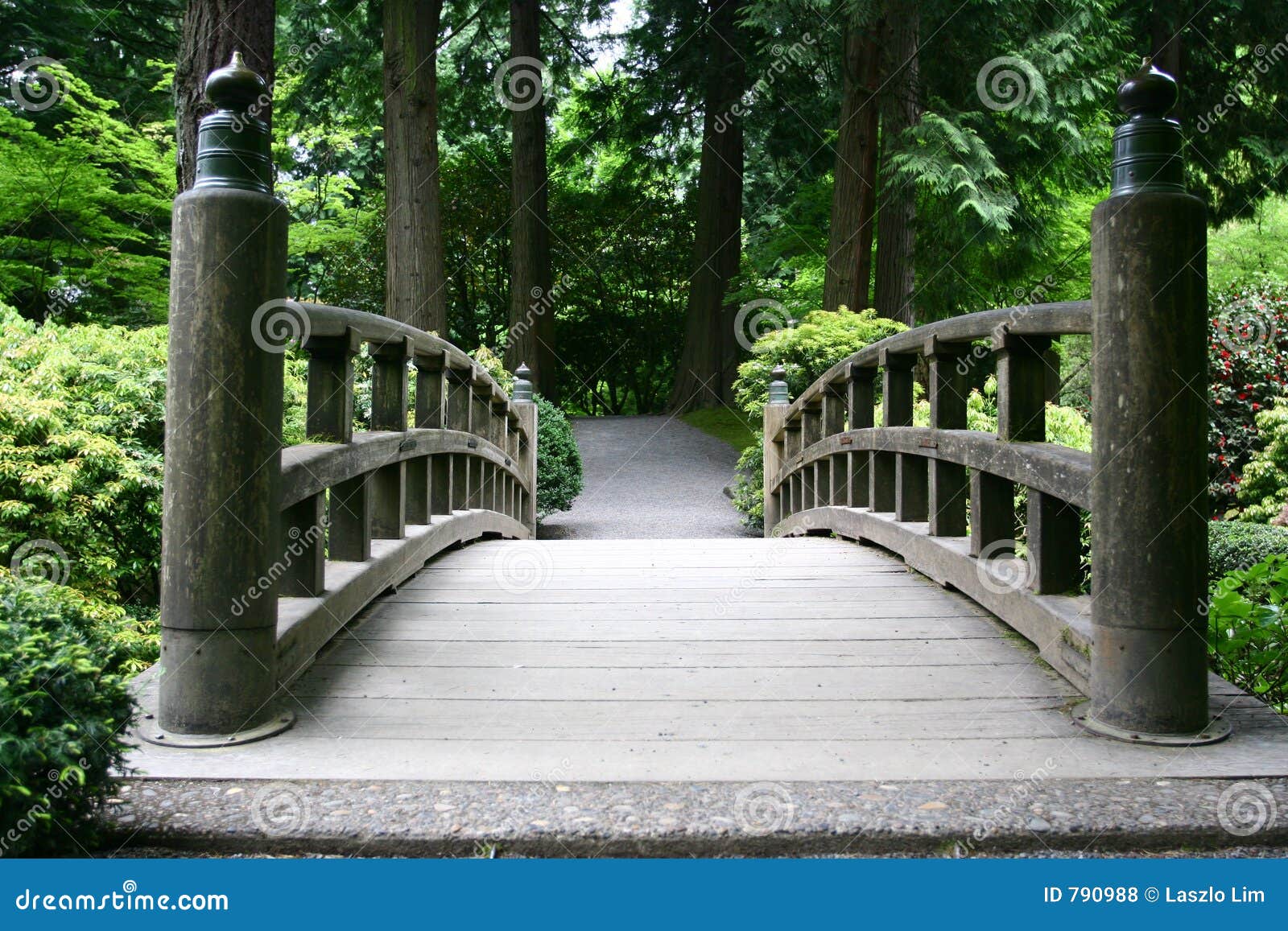 Bridge stock photo. Image of concrete, leaves, bridge, passage - 790988