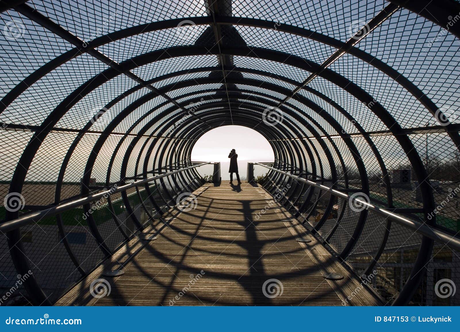 514 Bridge Spine Stock Photos - Free & Royalty-Free Stock Photos from ...
