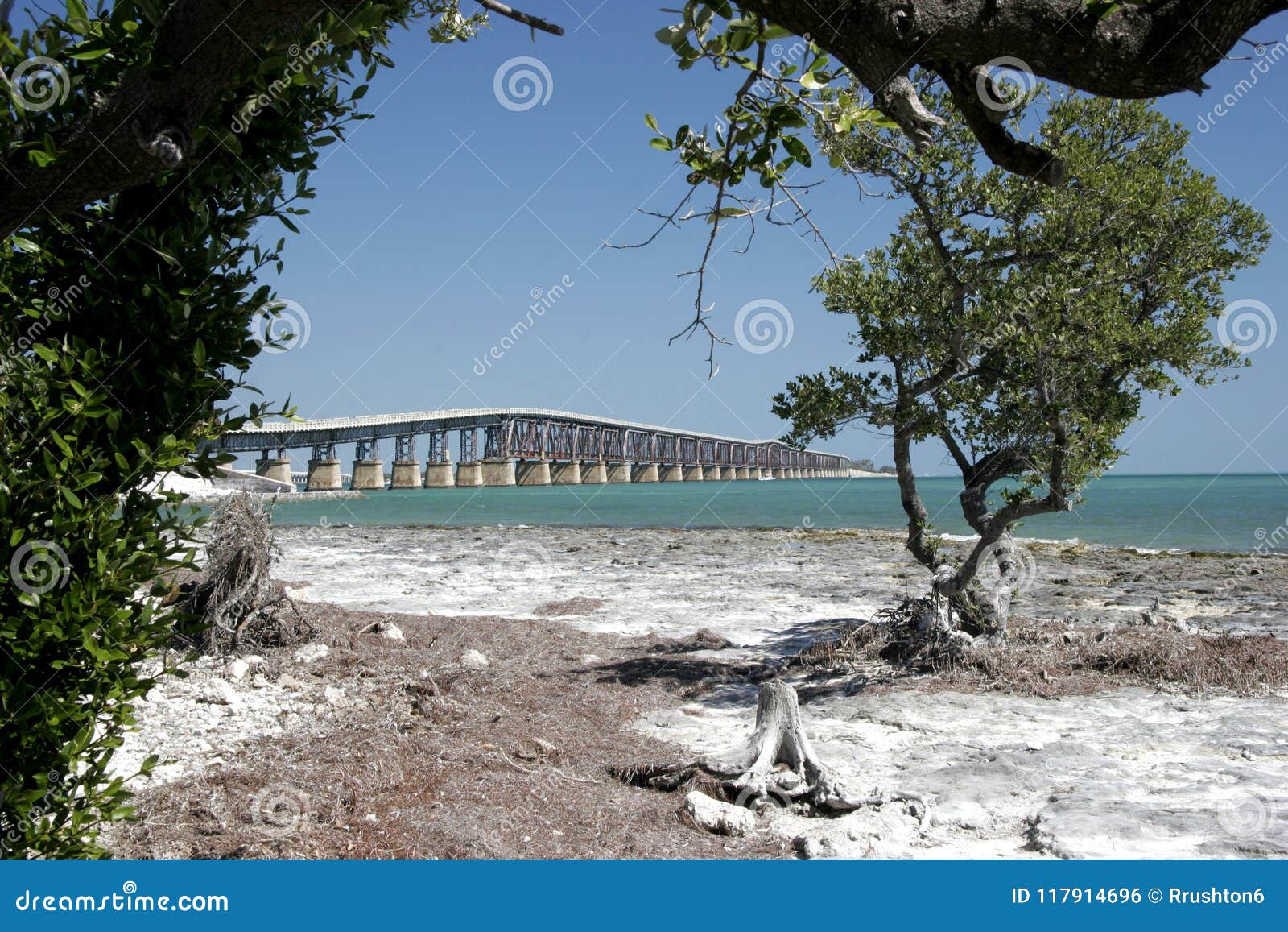 Bridge Across the Florida Keys Stock Photo - Image of seashore, join ...