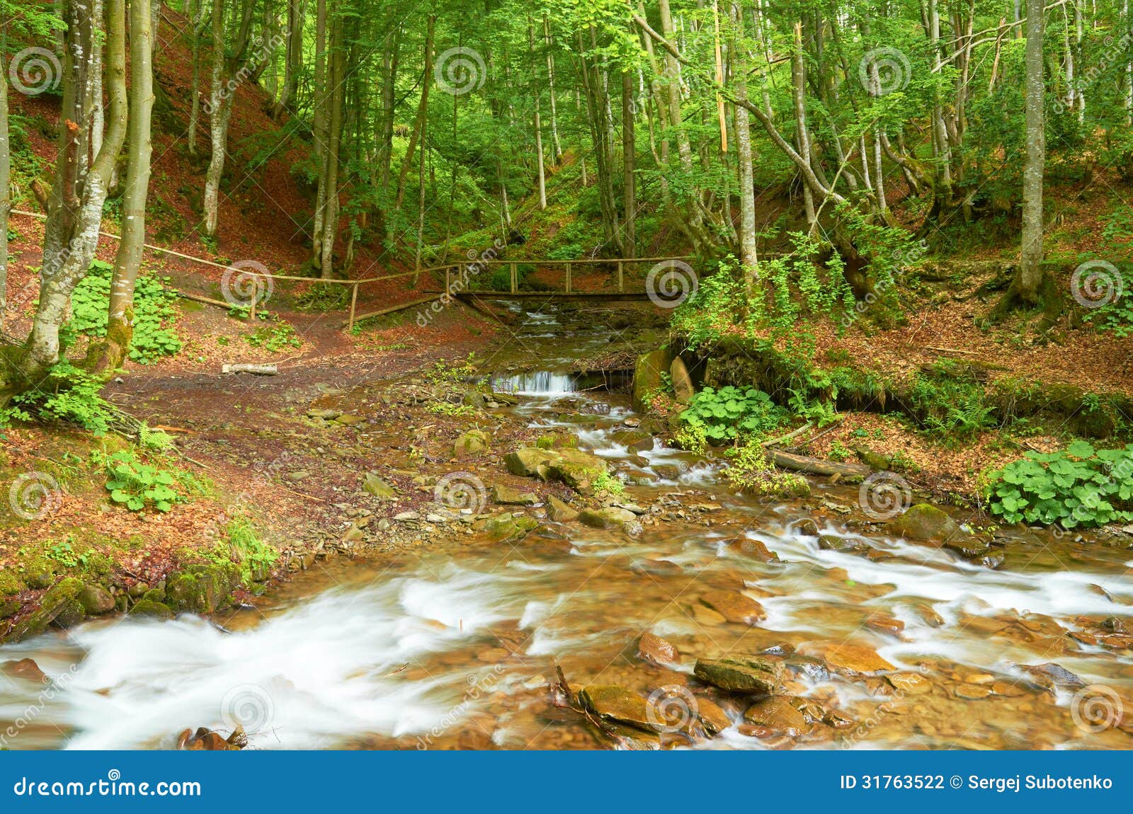 Bridge Across Mountain River Stock Photo - Image of beauty, moss: 31763522
