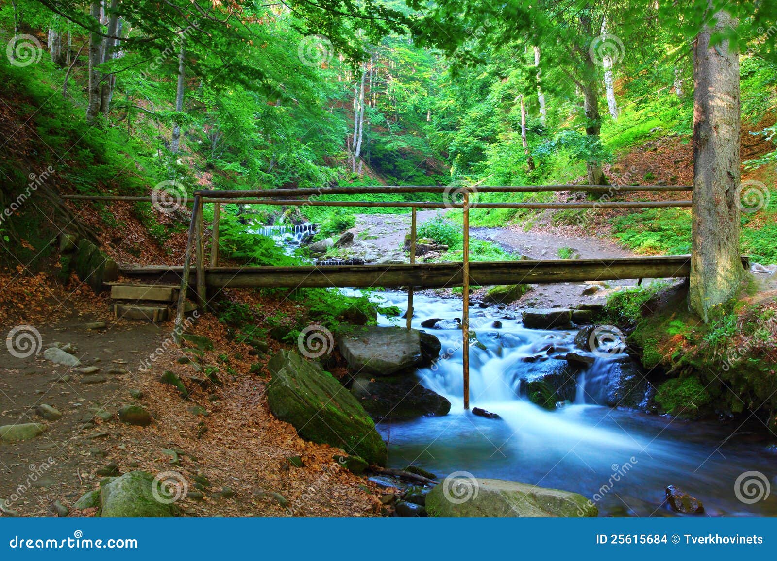 Bridge across the river stock photo. Image of green, nature - 25615684