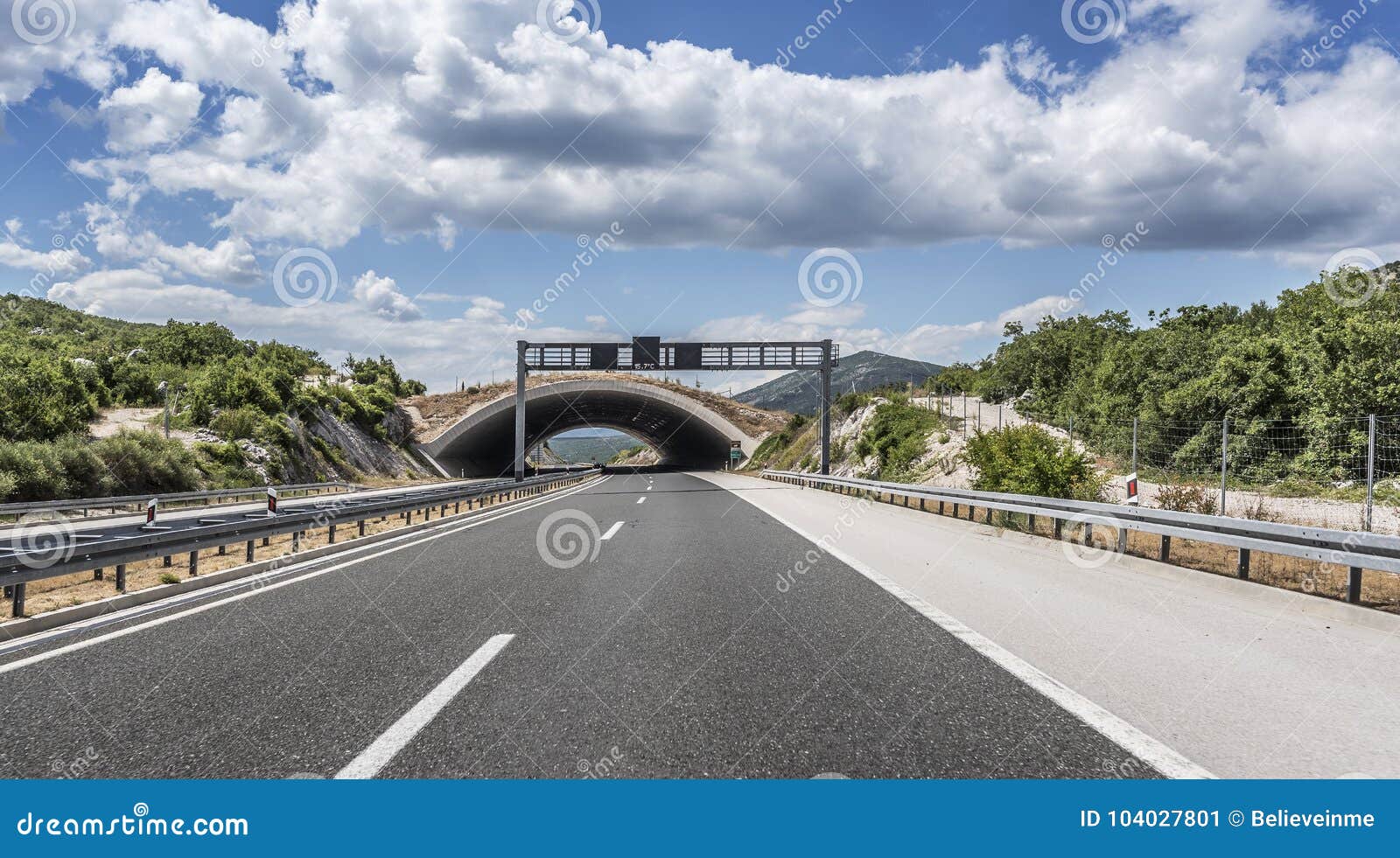 Bridge for Animals Over a Highway. Stock Image - Image of asphalt, city ...