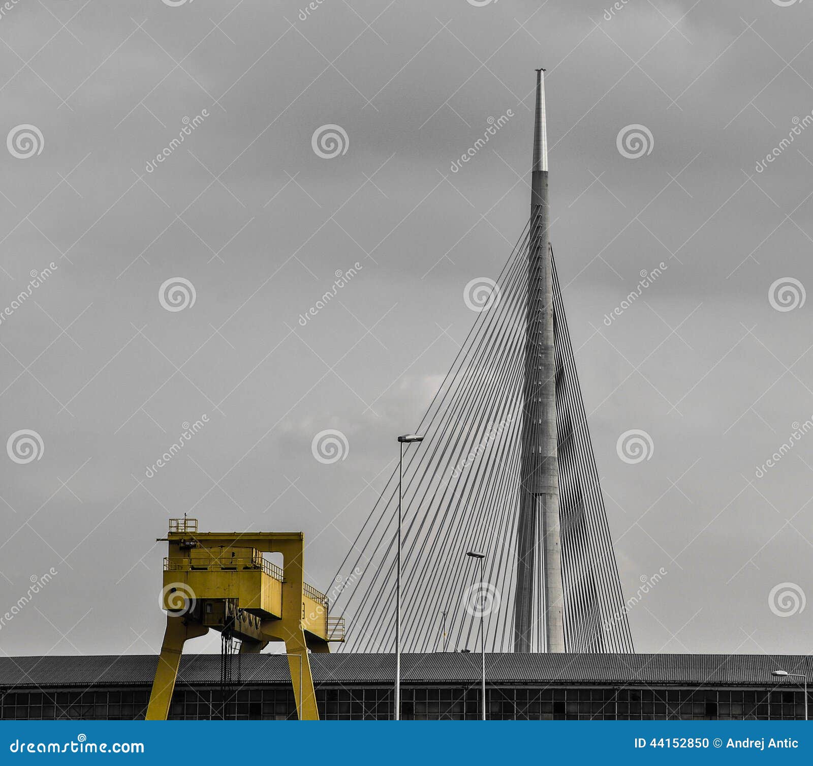 Bridge Architecture, Pylon And Steel Cables Structure, Clear Blue Sky ...