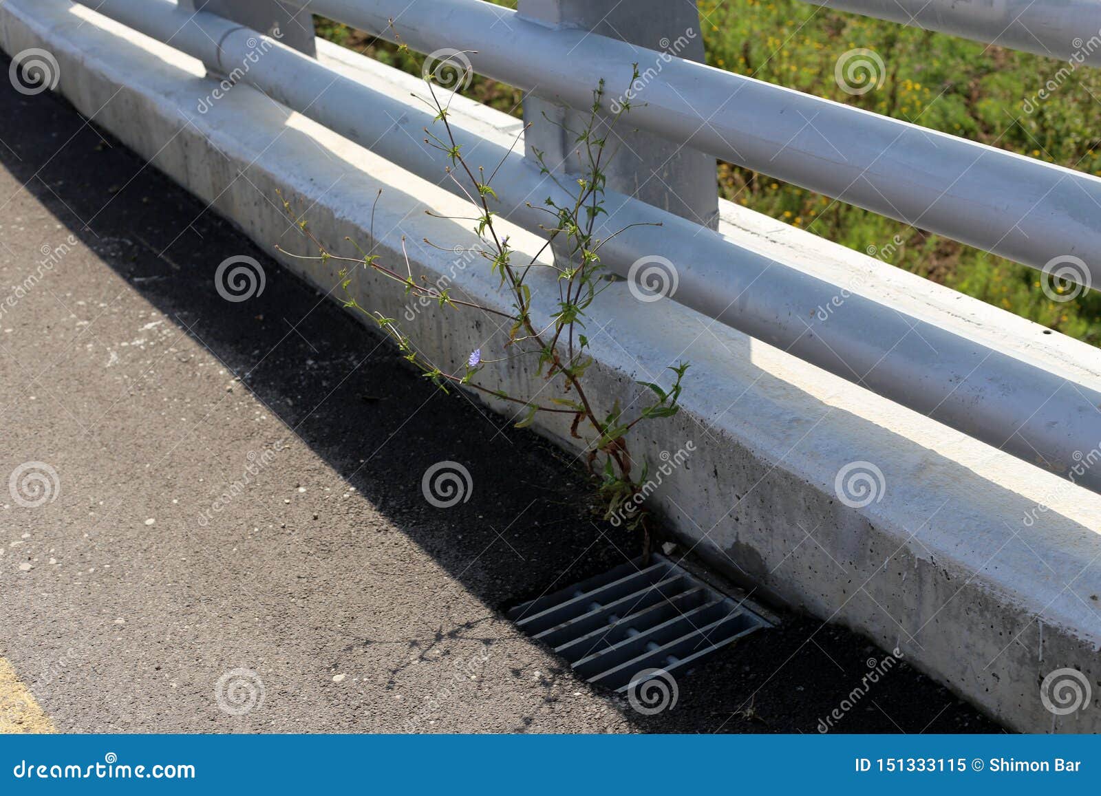 Bridge - an Artificial Structure Erected Over an Obstacle Stock Image ...