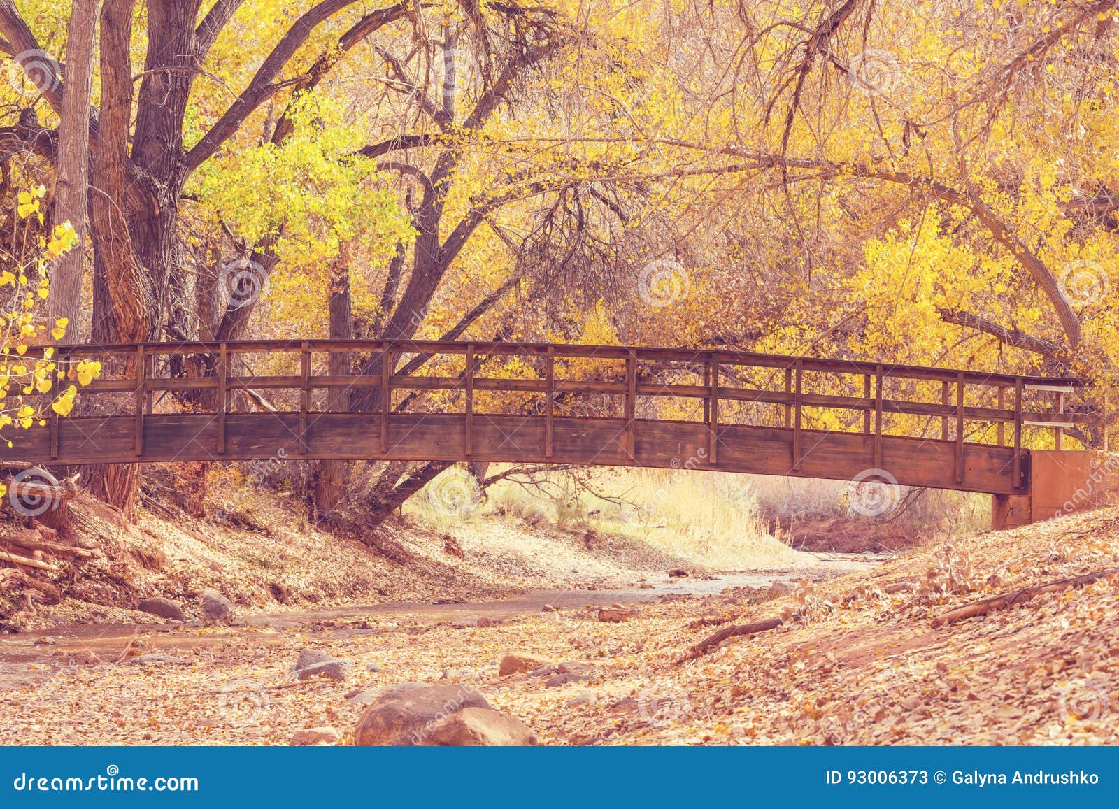 Bridge in autumn forest stock image. Image of parkway - 93006373