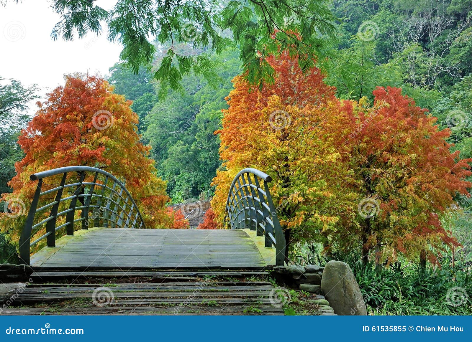 Bridge in autumn forest stock image. Image of park, beauty - 61535855