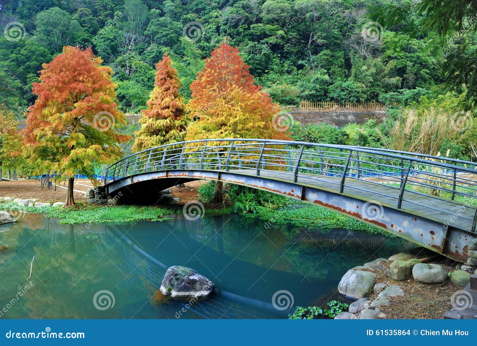 Bridge in autumn forest stock photo. Image of bridge - 61535864