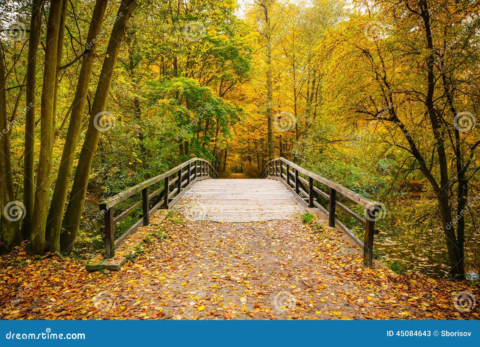 Bridge in autumn forest stock image. Image of path, nature - 45084643
