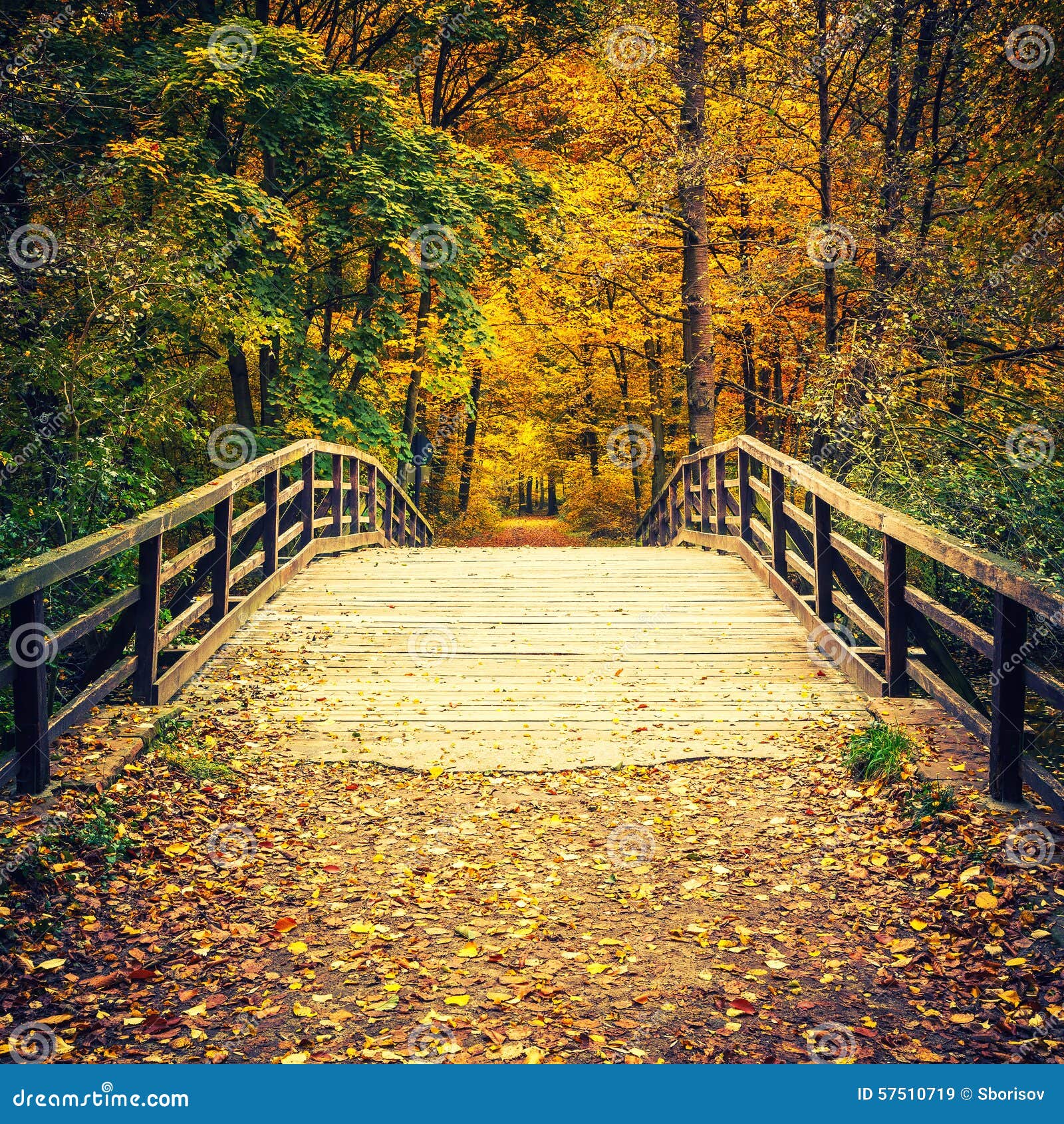 Bridge in autumn forest stock image. Image of parkway - 57510719