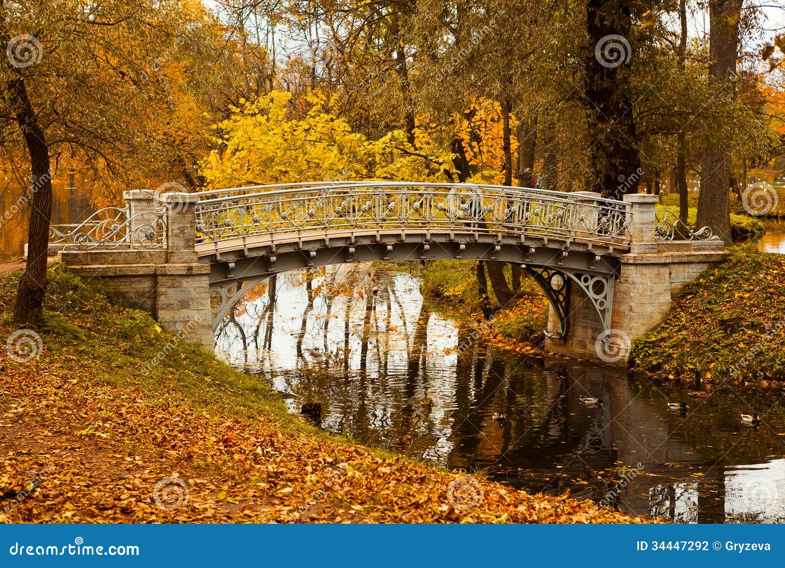 Bridge in autumn park stock photo. Image of country, foliage - 34447292