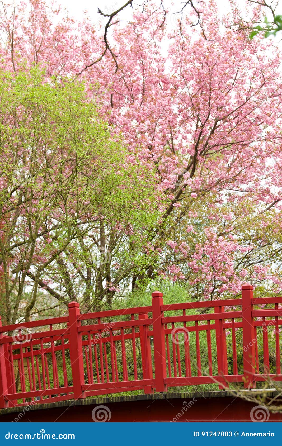 Spring bridge stock image. Image of beautiful, bridge - 91247083