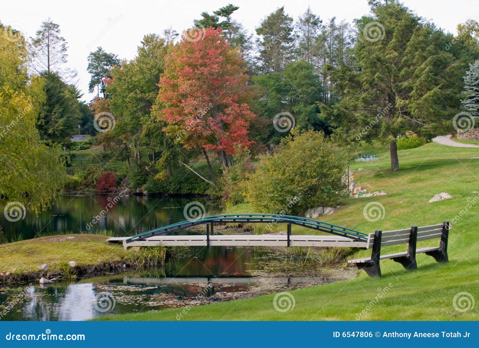 Bridge & Bench stock photo. Image of outside, color - 6547806