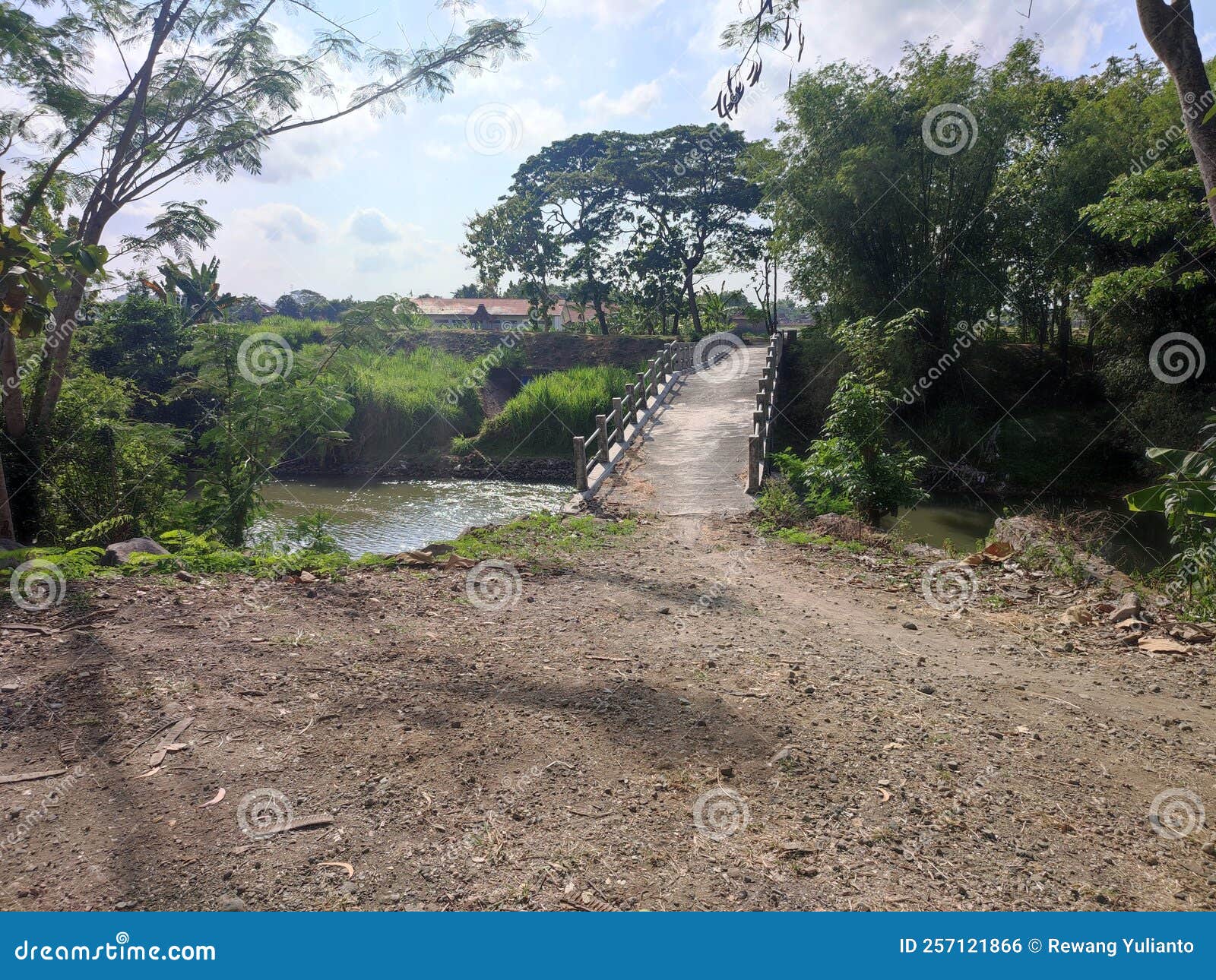 Bridge on Big River in Rice Field in Asia Stock Photo - Image of garden ...