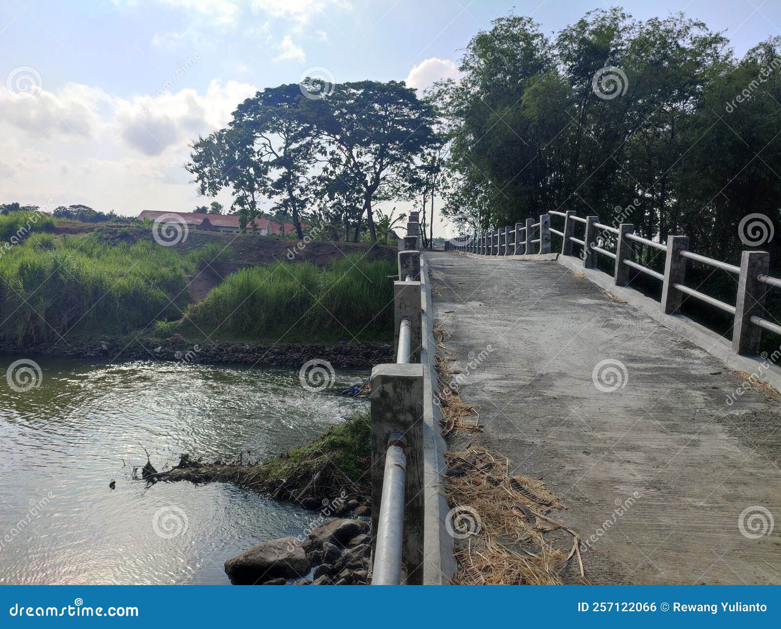 Bridge on Big River in Rice Field in Asia Stock Photo - Image of bridge ...