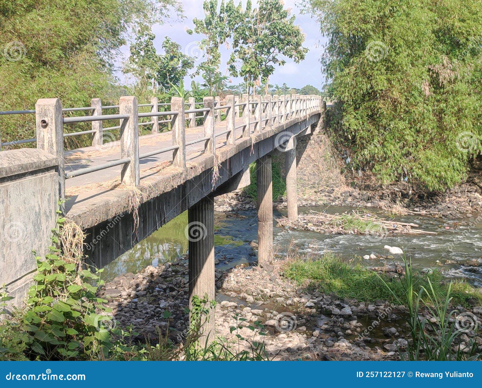 Bridge on Big River in Rice Field in Asia Stock Image - Image of asia ...