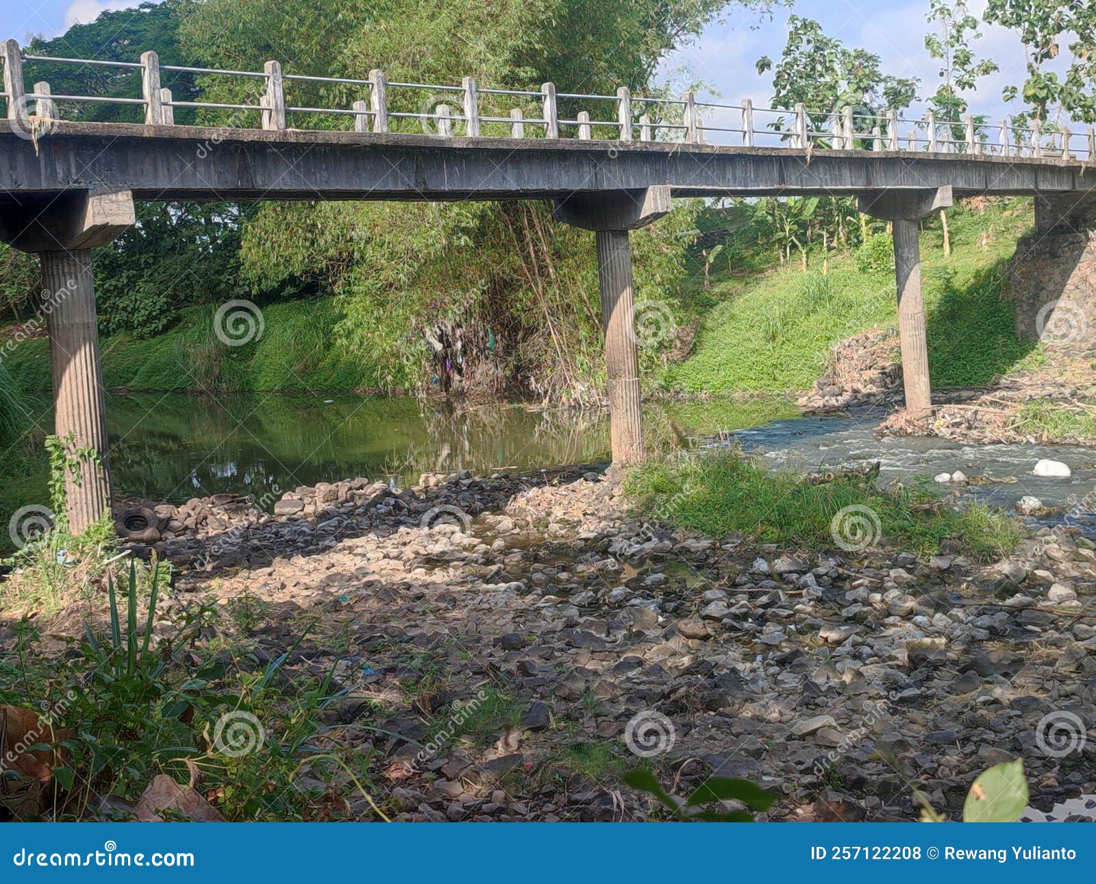 Bridge on Big River in Rice Field in Asia Stock Photo - Image of river ...