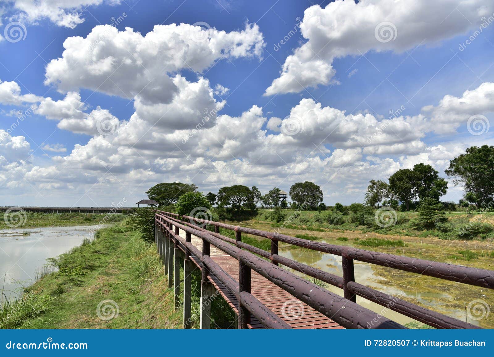 Bridge with blue sky stock image. Image of nature, bridge - 72820507