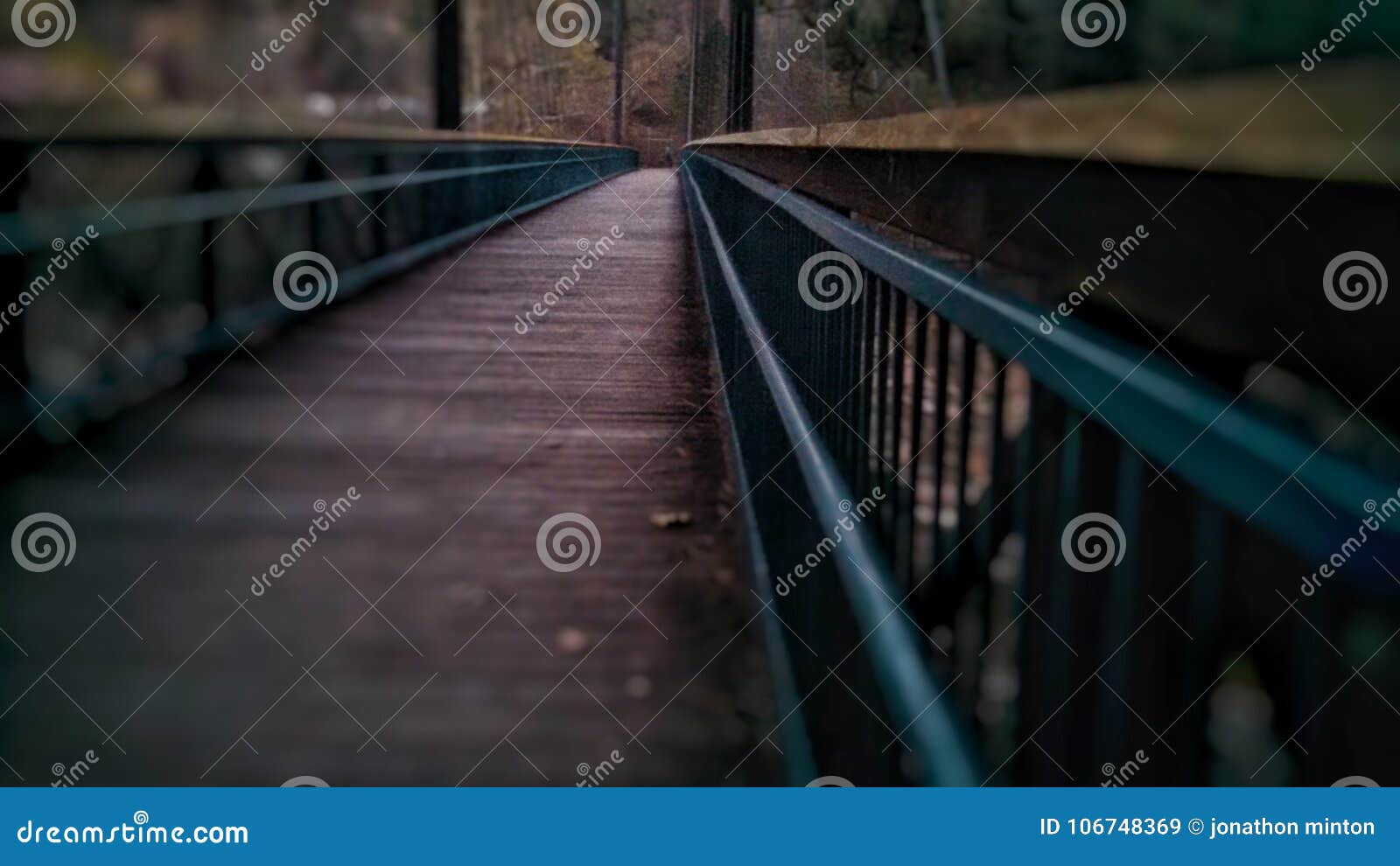 Bridge stock image. Image of green, blurred, bridge - 106748369