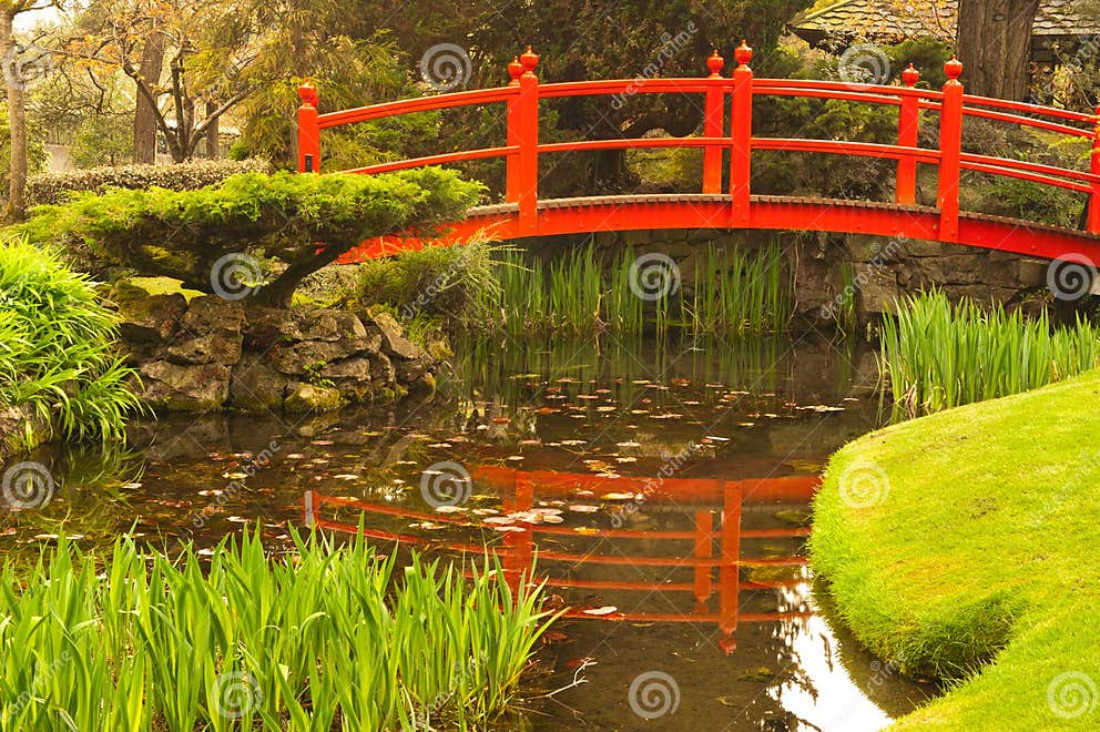 Bridge and bonsai stock image. Image of flora, national - 19187821