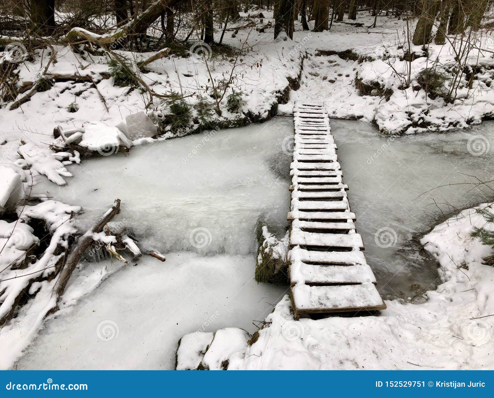 The bridge stock image. Image of cold, bridge, winter - 152529751