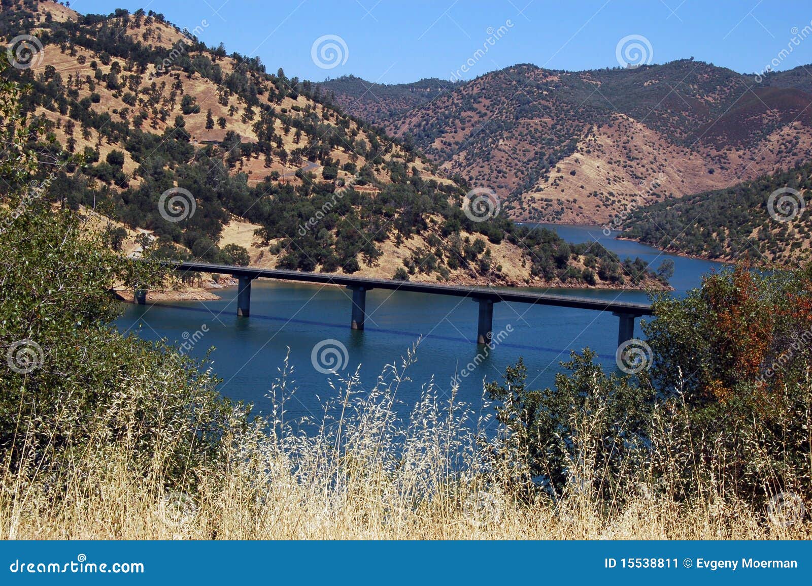 Bridge in California stock image. Image of tree, blue - 15538811