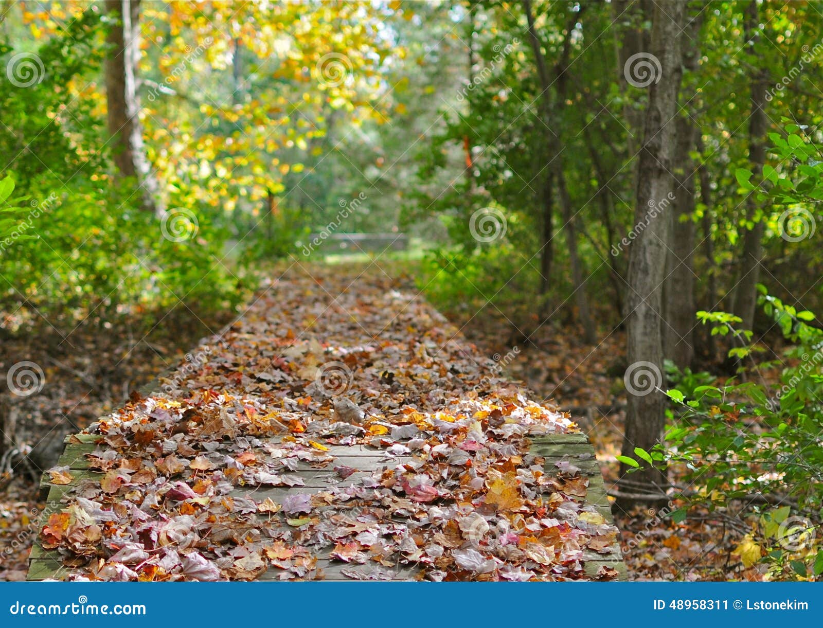 The Bridge stock image. Image of scene, bridge, taking - 48958311