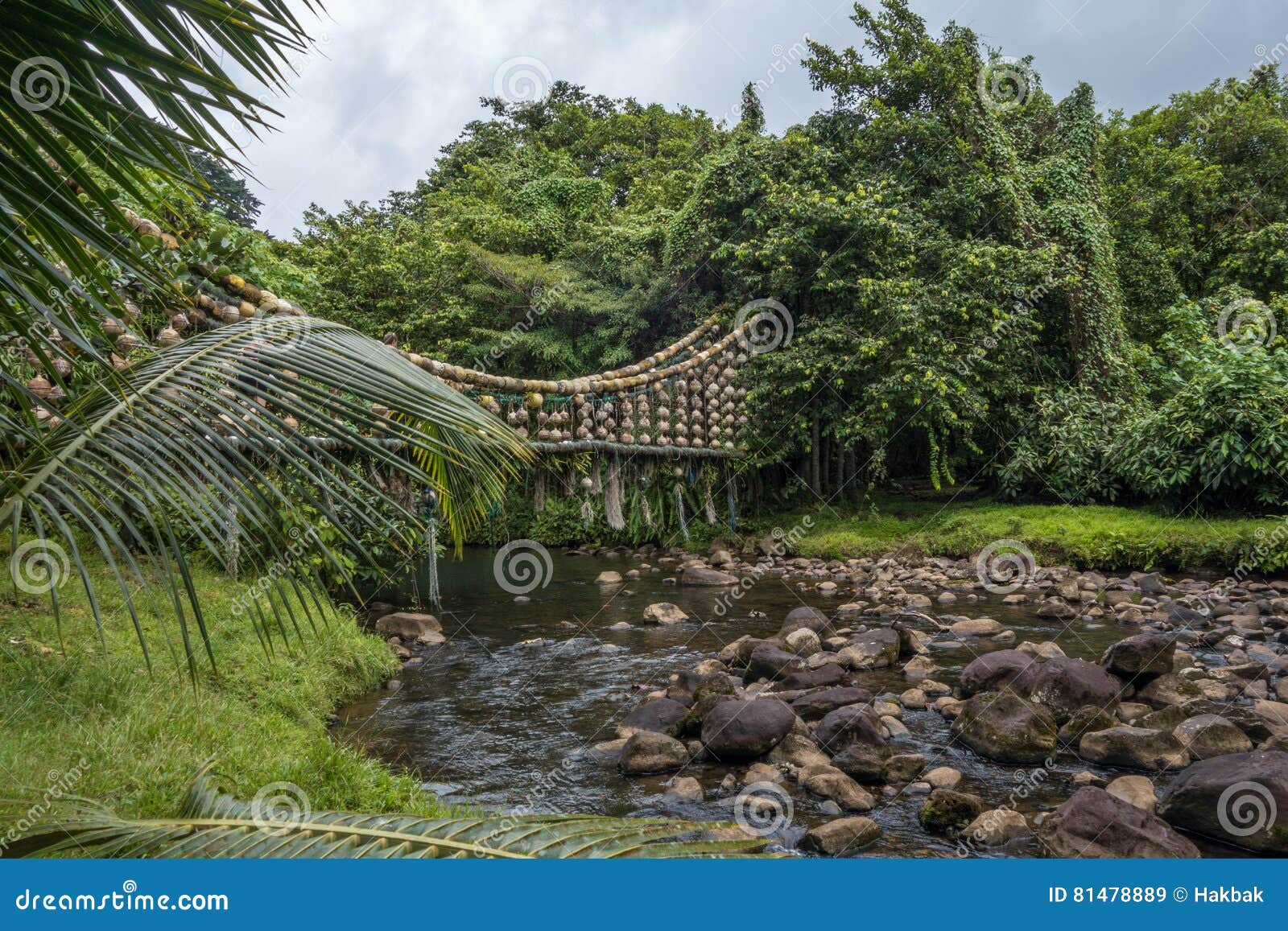 Bridge on Cocos Island stock image. Image of blue, nature - 81478889
