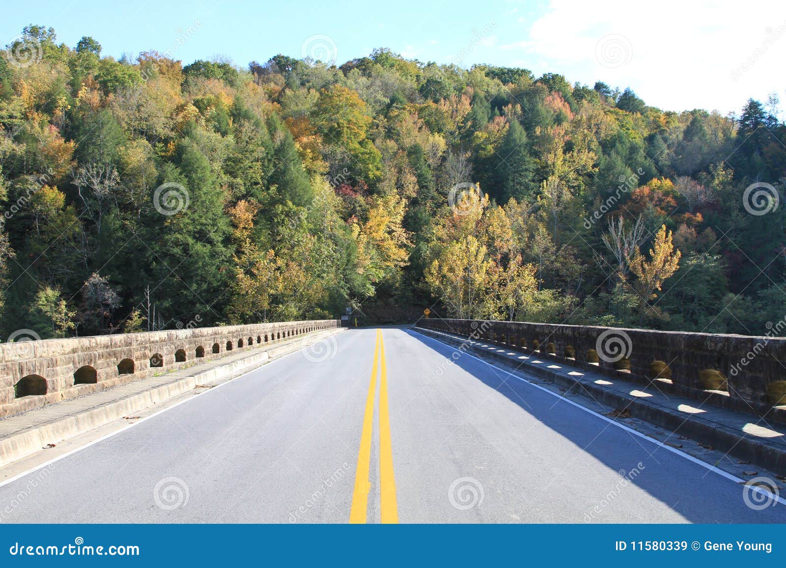 Bridge into colored trees stock image. Image of state - 11580339
