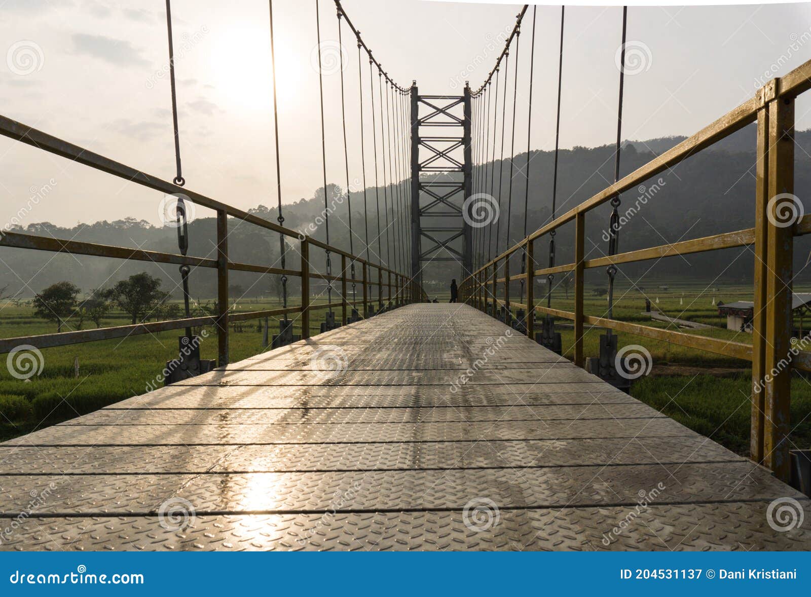The Bridge that Crosses the Rice Fields Stock Image - Image of elevated ...