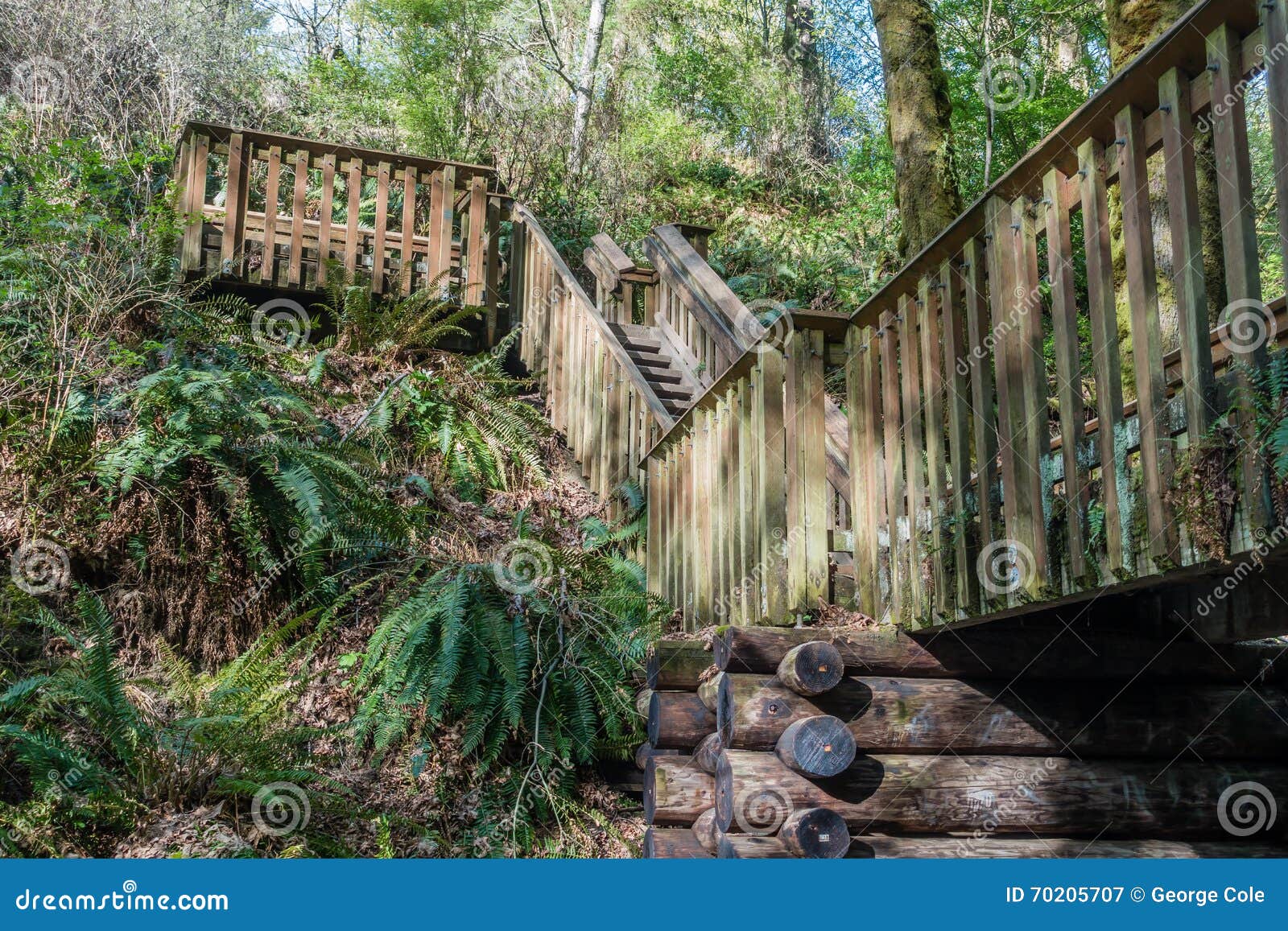 Bridge at Dash Point stock image. Image of point, structure - 70205707