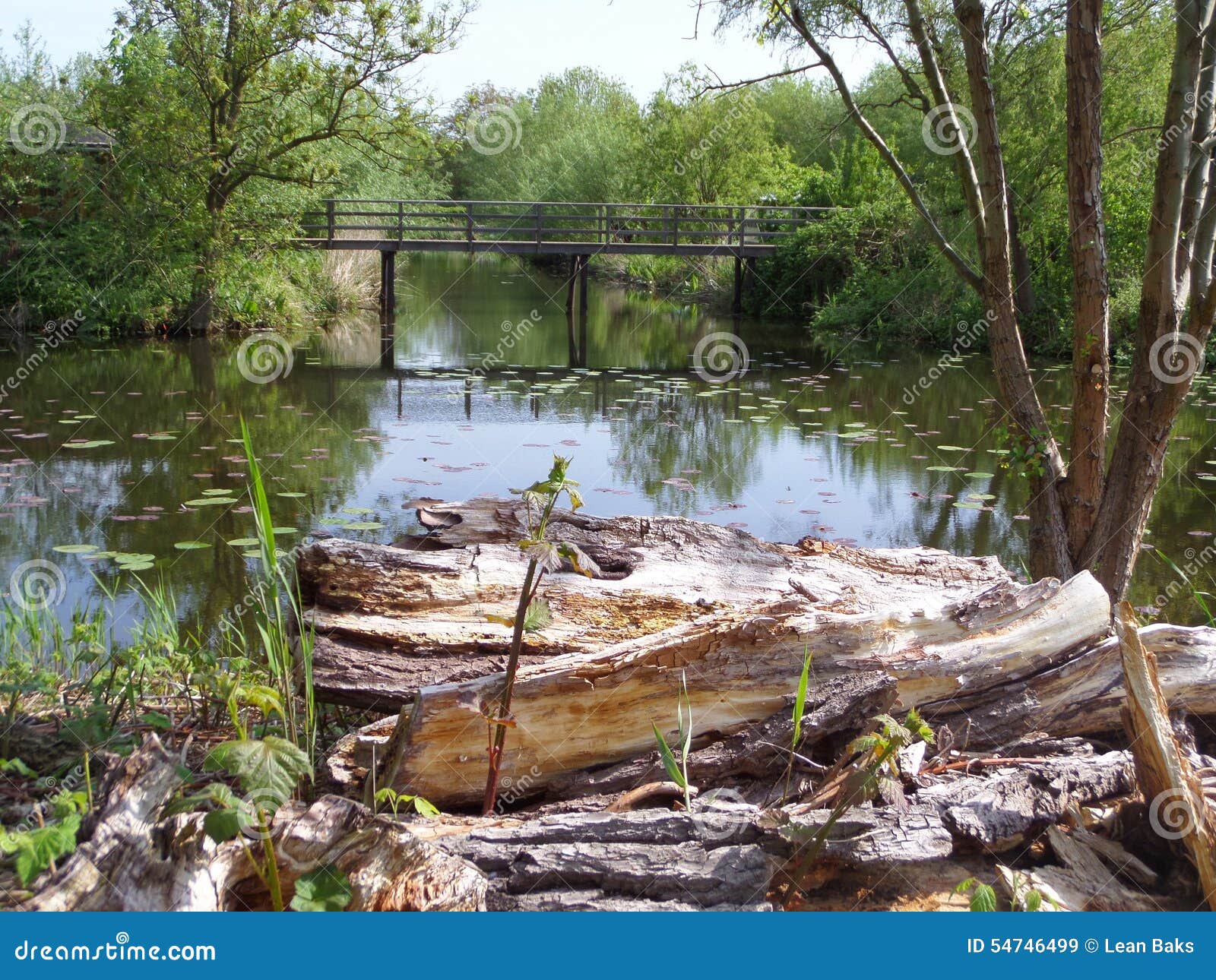 Bridge stock image. Image of dutch, nice, front, tree - 54746499