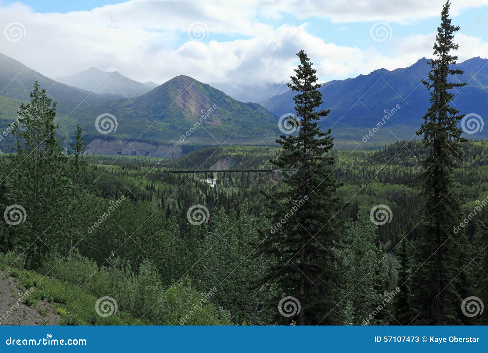 The Bridge at Denali National Park Stock Image - Image of national ...