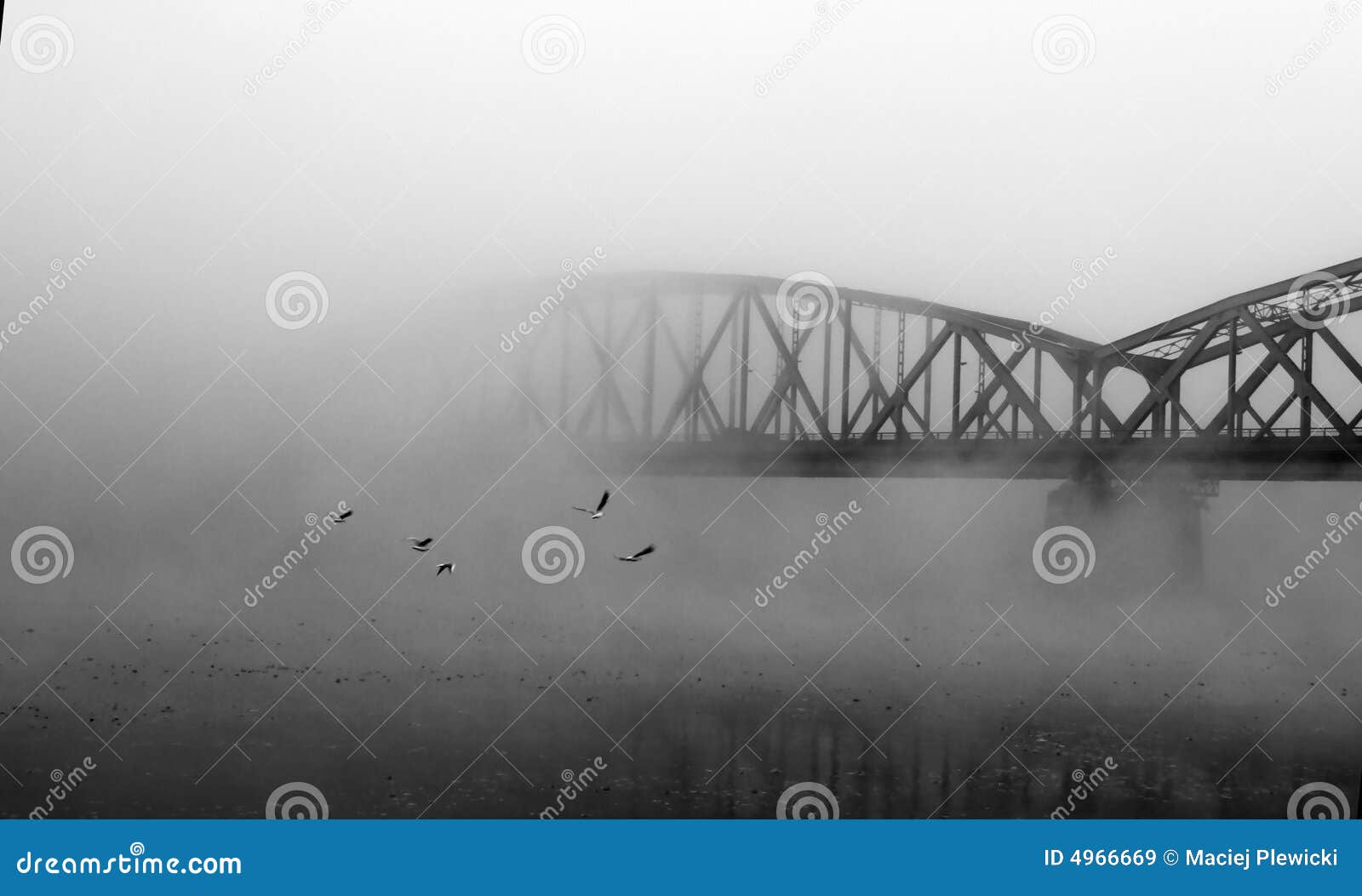 Bridge disappearing in fog stock image. Image of reflection - 4966669