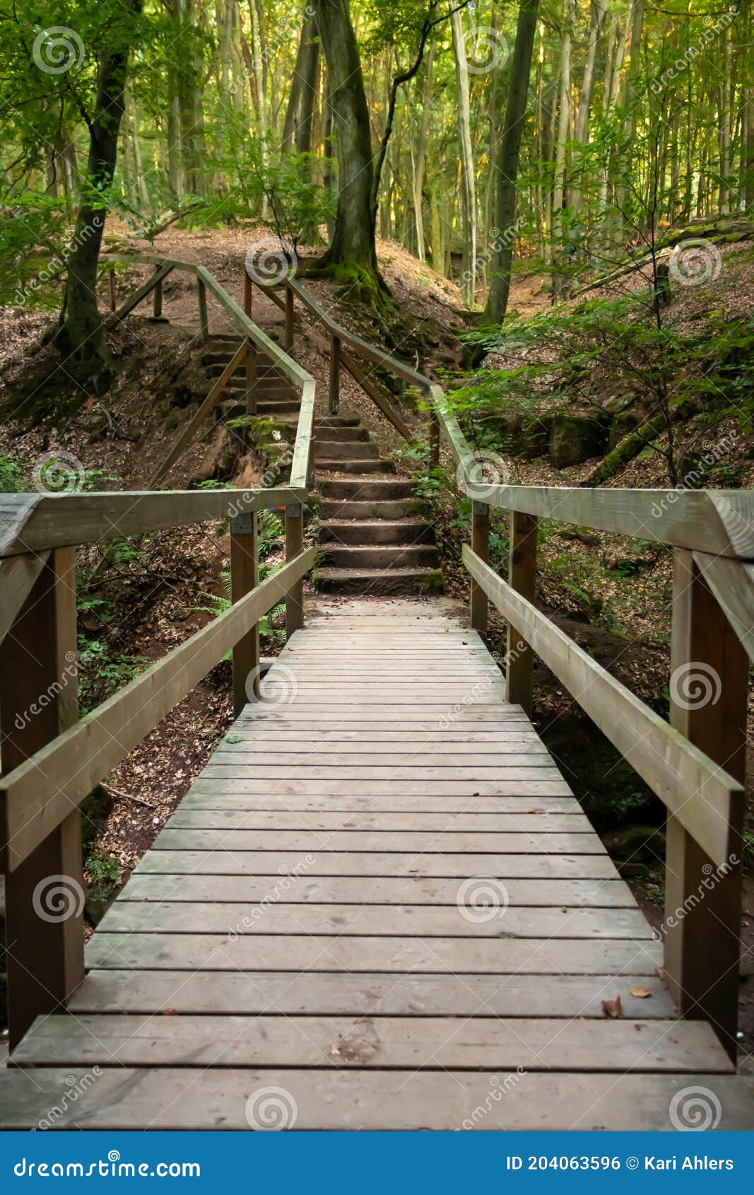 Bridge in Elendsklamm, Germany Stock Photo - Image of exercise ...