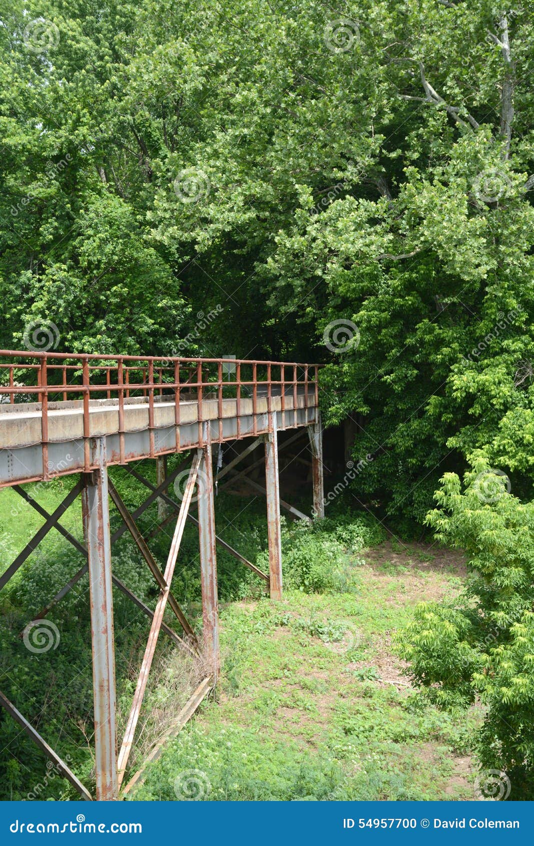 Bridge end stock photo. Image of bridge, rail, woods - 54957700
