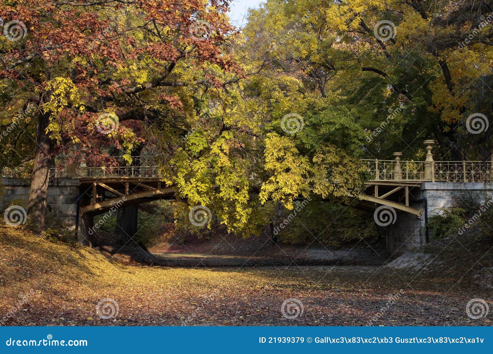 Bridge Fall stock image. Image of yellow, background - 21939379