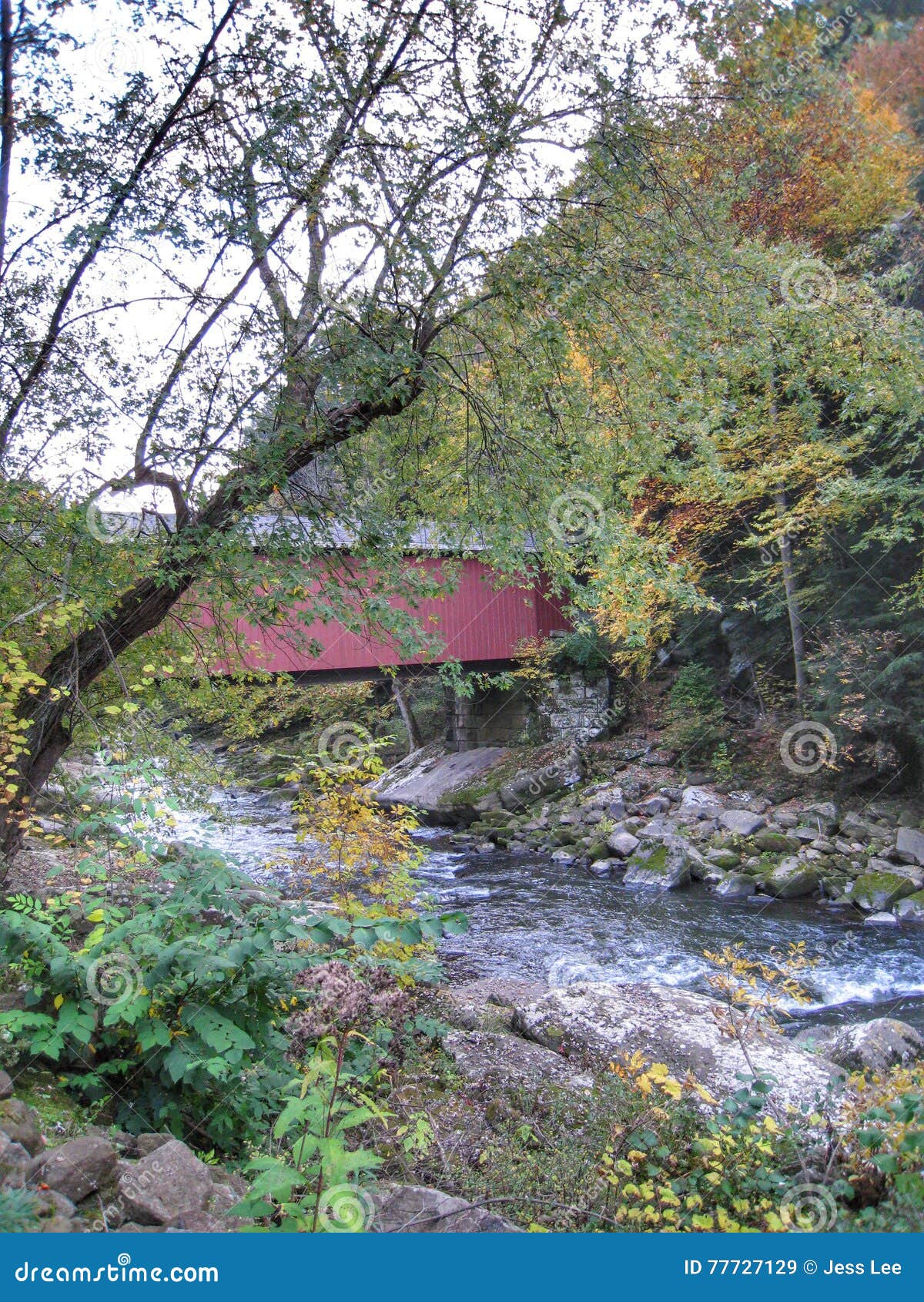 Bridge in the fall stock image. Image of fall, park, time - 77727129